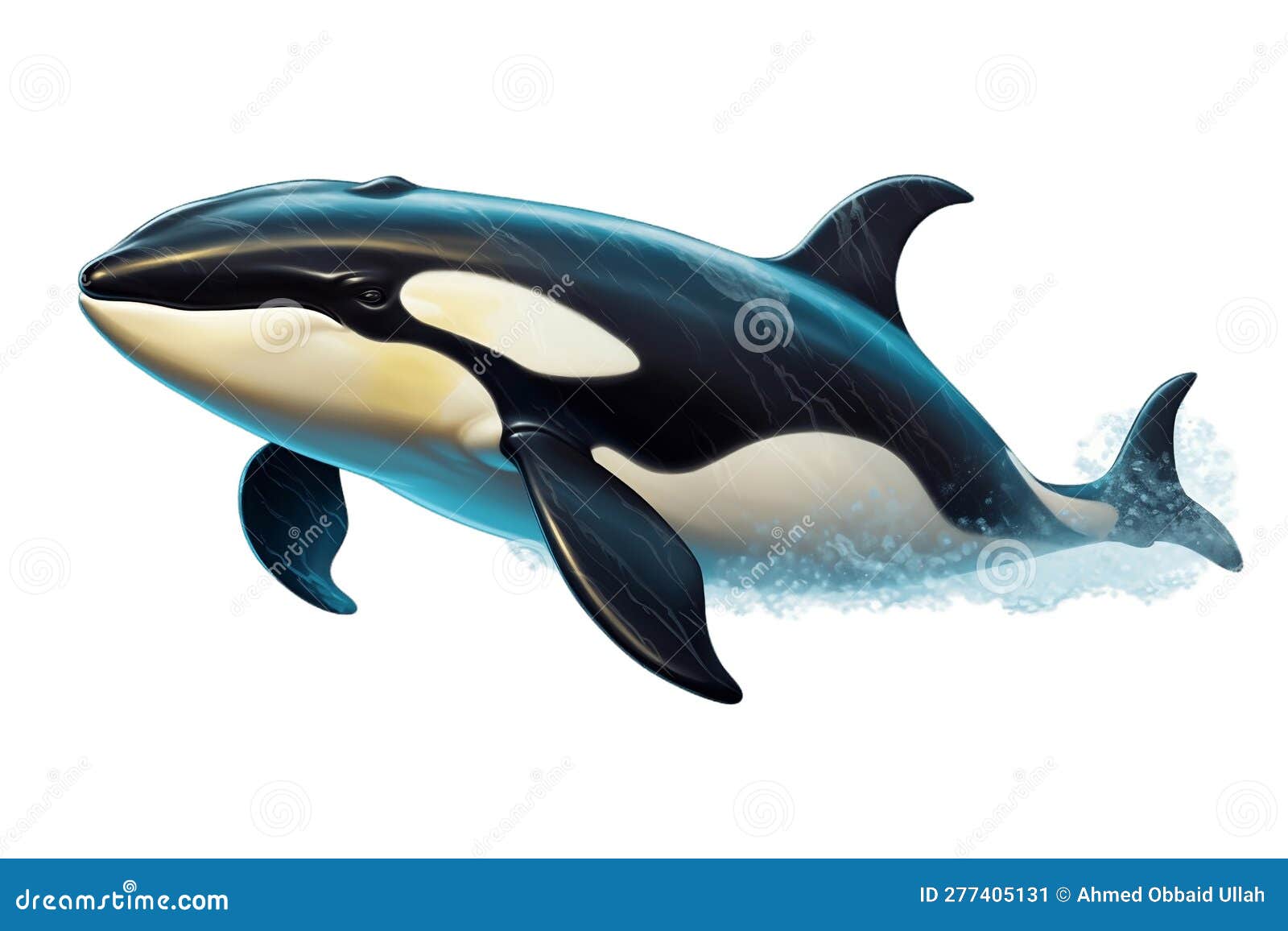 Isolated Ocra Fish on Transparent Background, Generative Ai Stock Image ...