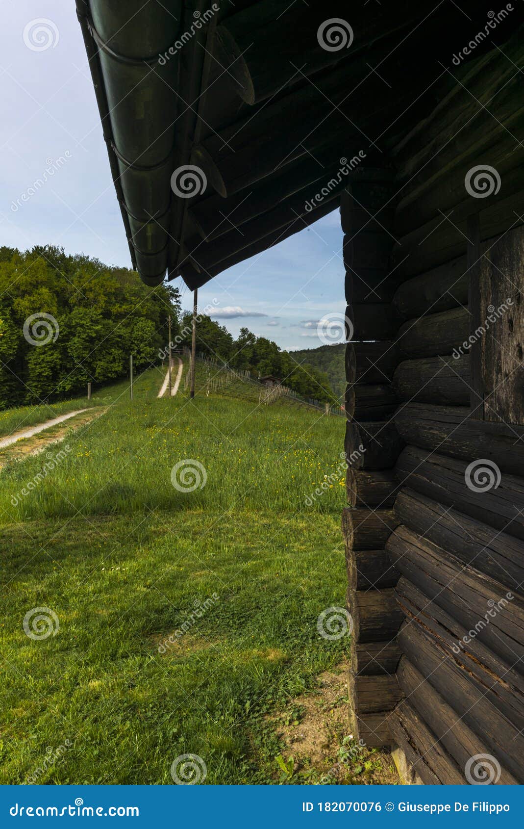 An Isolated Old Log Hut in the Shadow of a Oak Tree in Switzerland ...