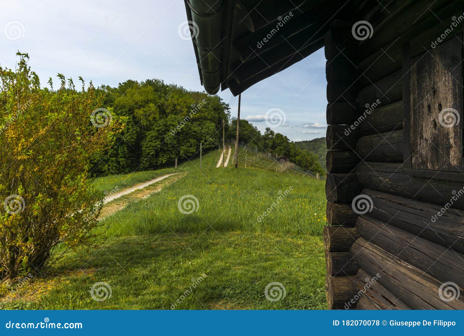 An Isolated Old Log Hut in the Shadow of a Oak Tree in Switzerland ...
