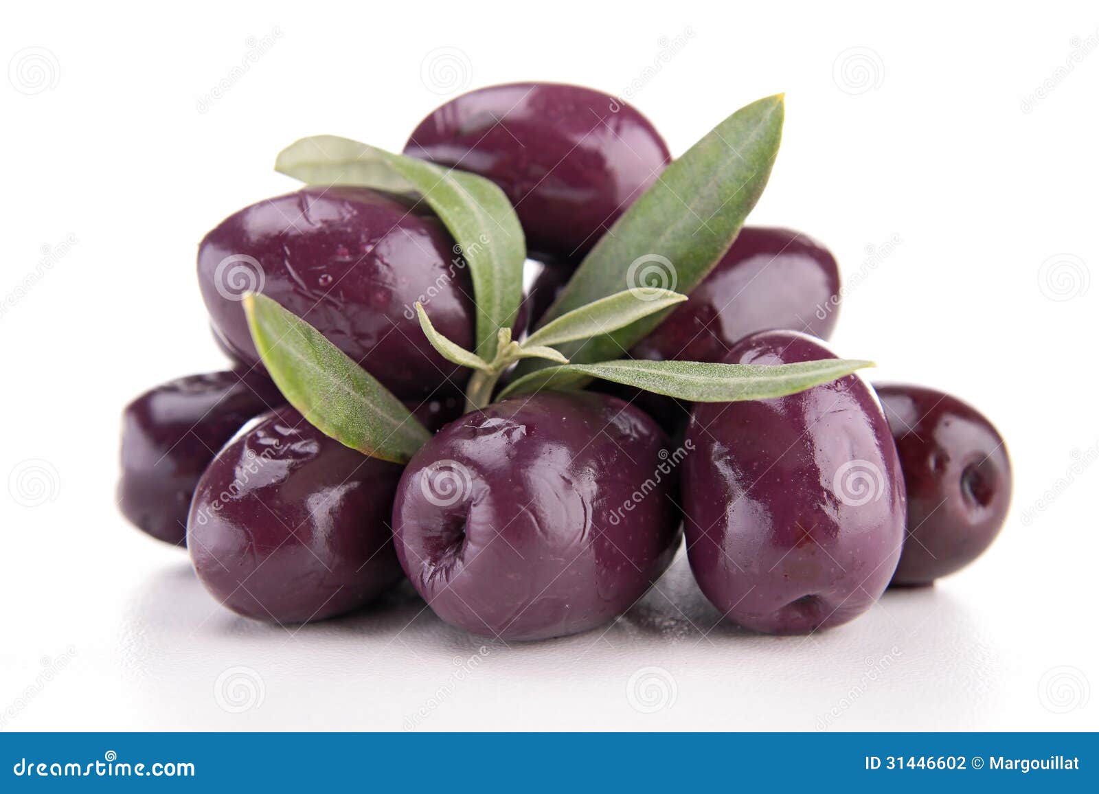 Isolated olive stock photo. Image of branch, white, isolated - 31446602