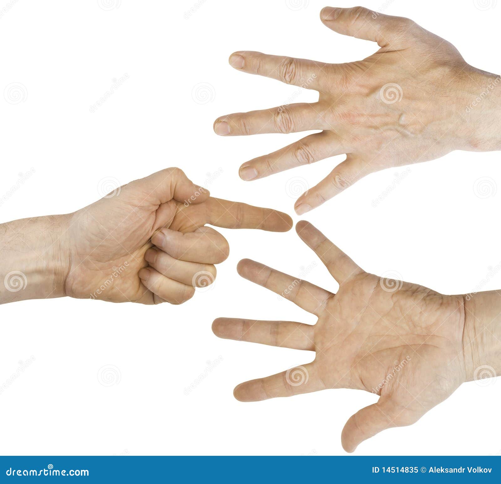 Isolated Open Palms Concept Stock Image - Image of number, body: 14514835