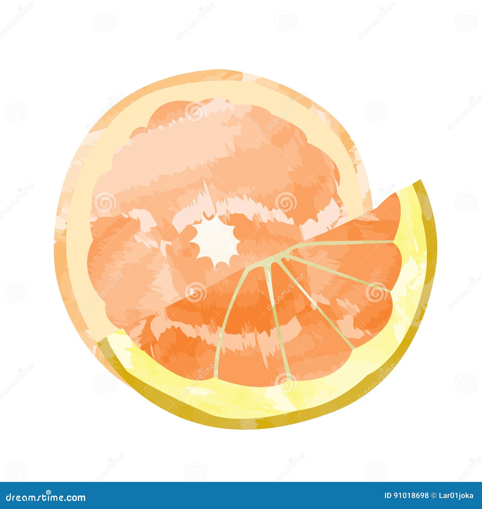 Isolated orange cuts stock vector. Illustration of tasty - 91018698