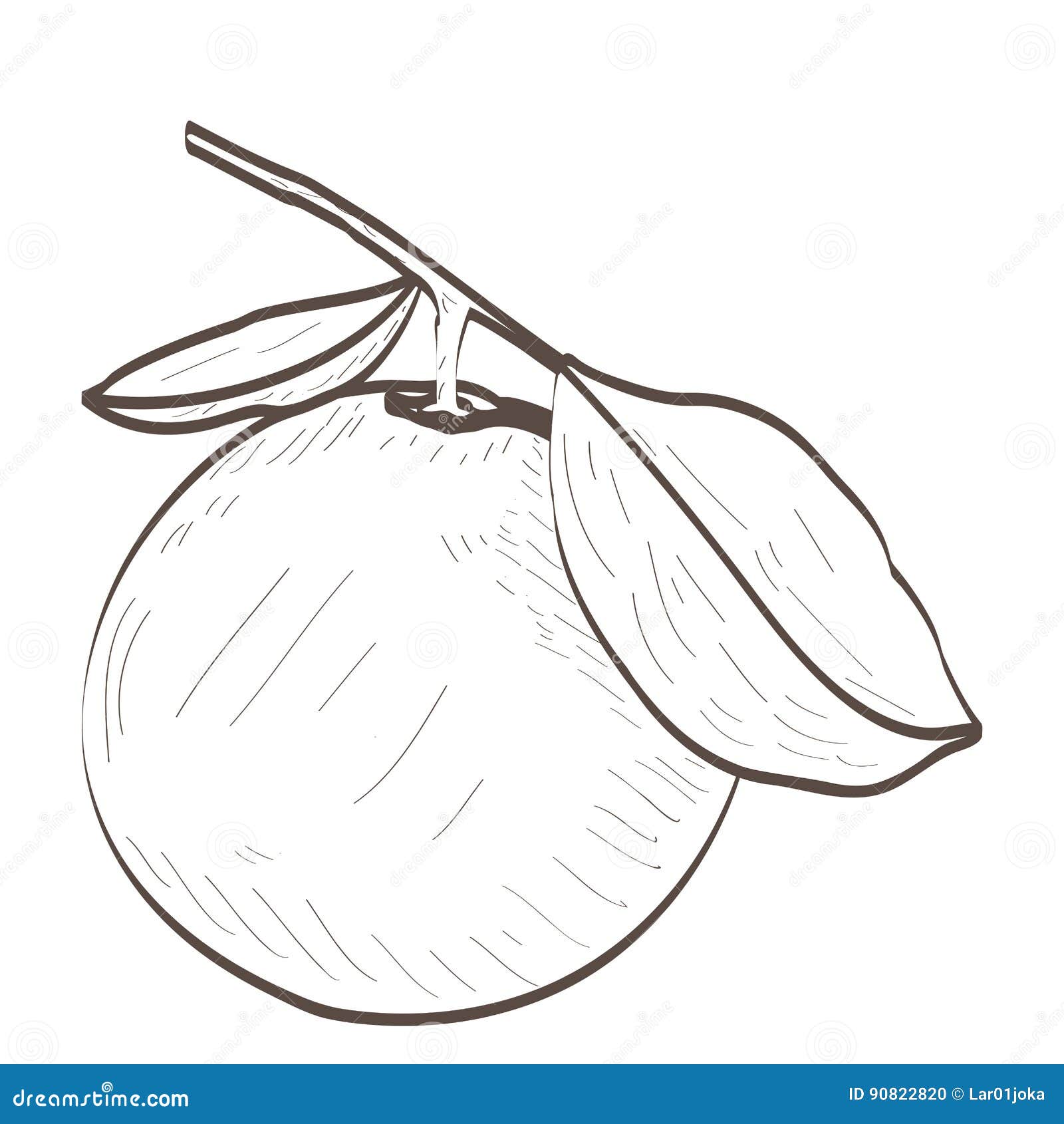 Isolated orange outline stock vector. Illustration of colorful - 90822820