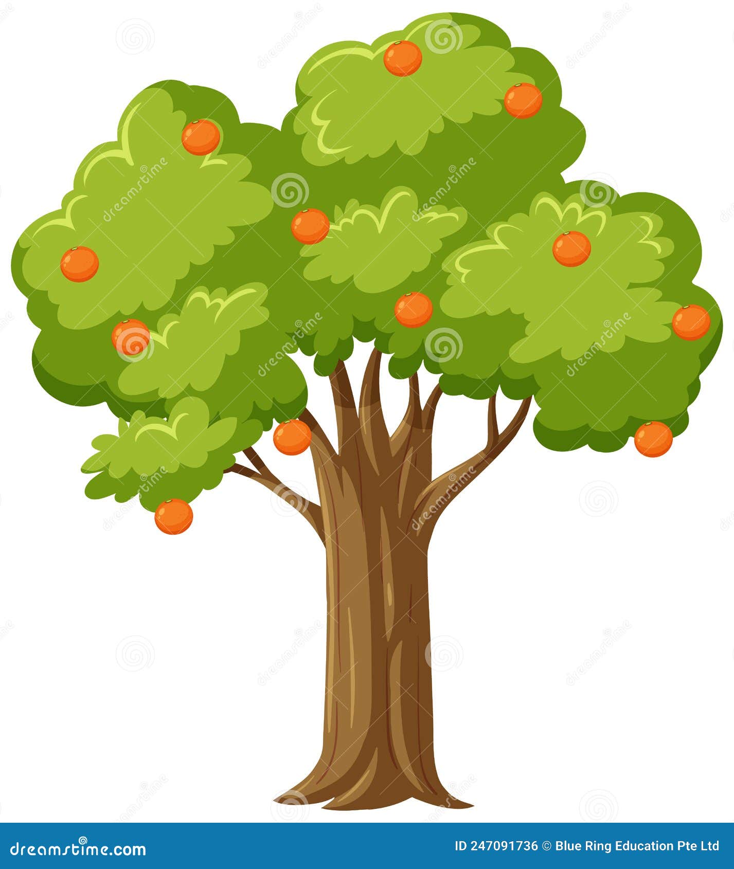 Isolated Orange Tree in Cartoon Style Stock Vector - Illustration of ...