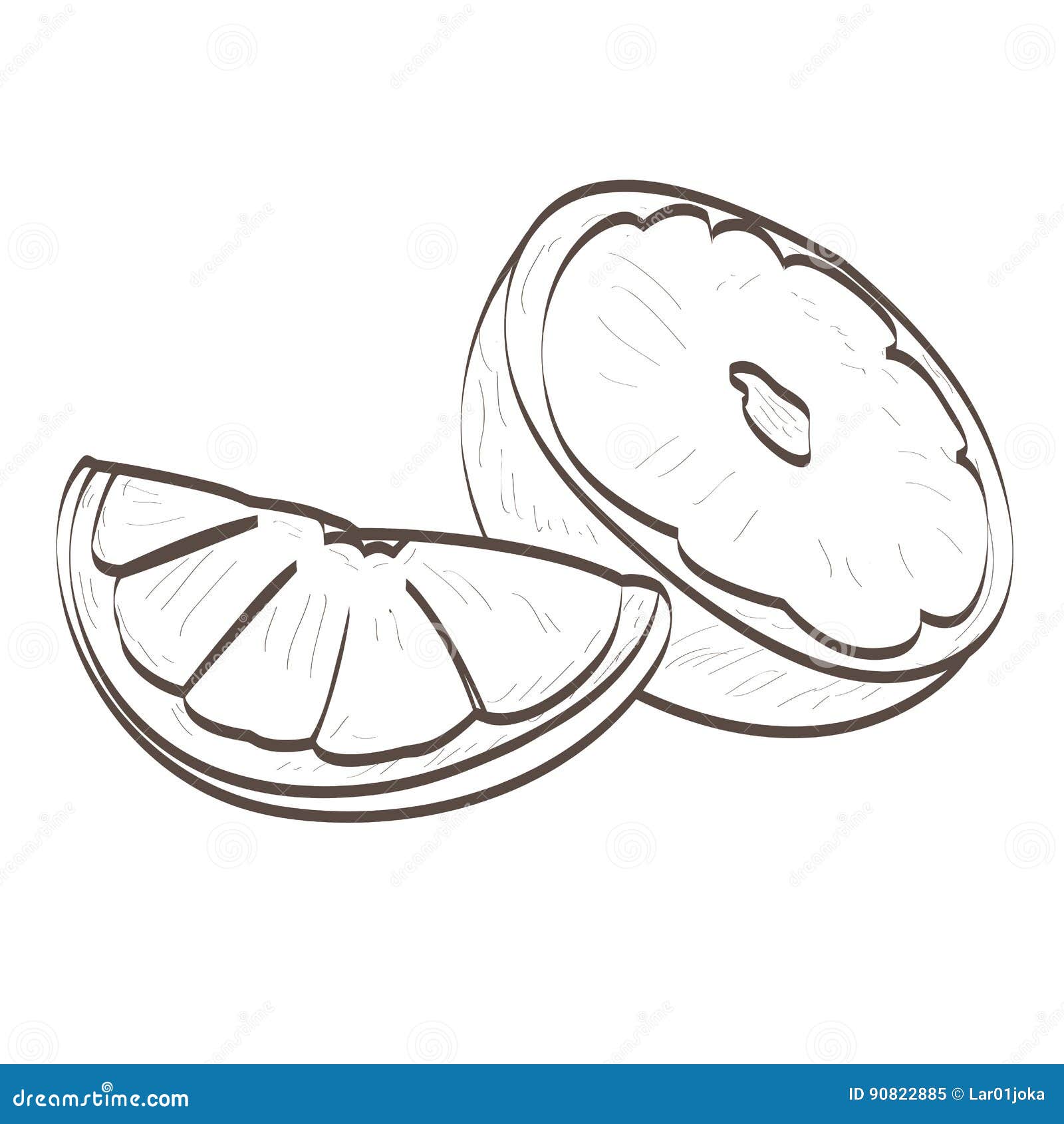 Isolated oranges outline stock vector. Illustration of diet - 90822885