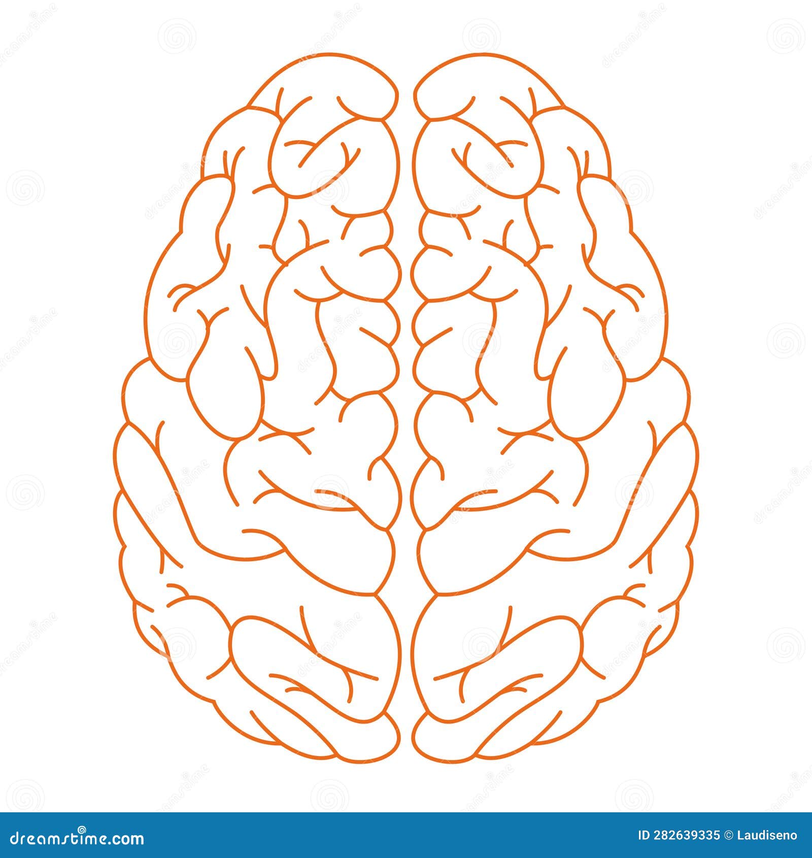 Isolated Outline of a Brain Icon Vector Stock Vector - Illustration of ...