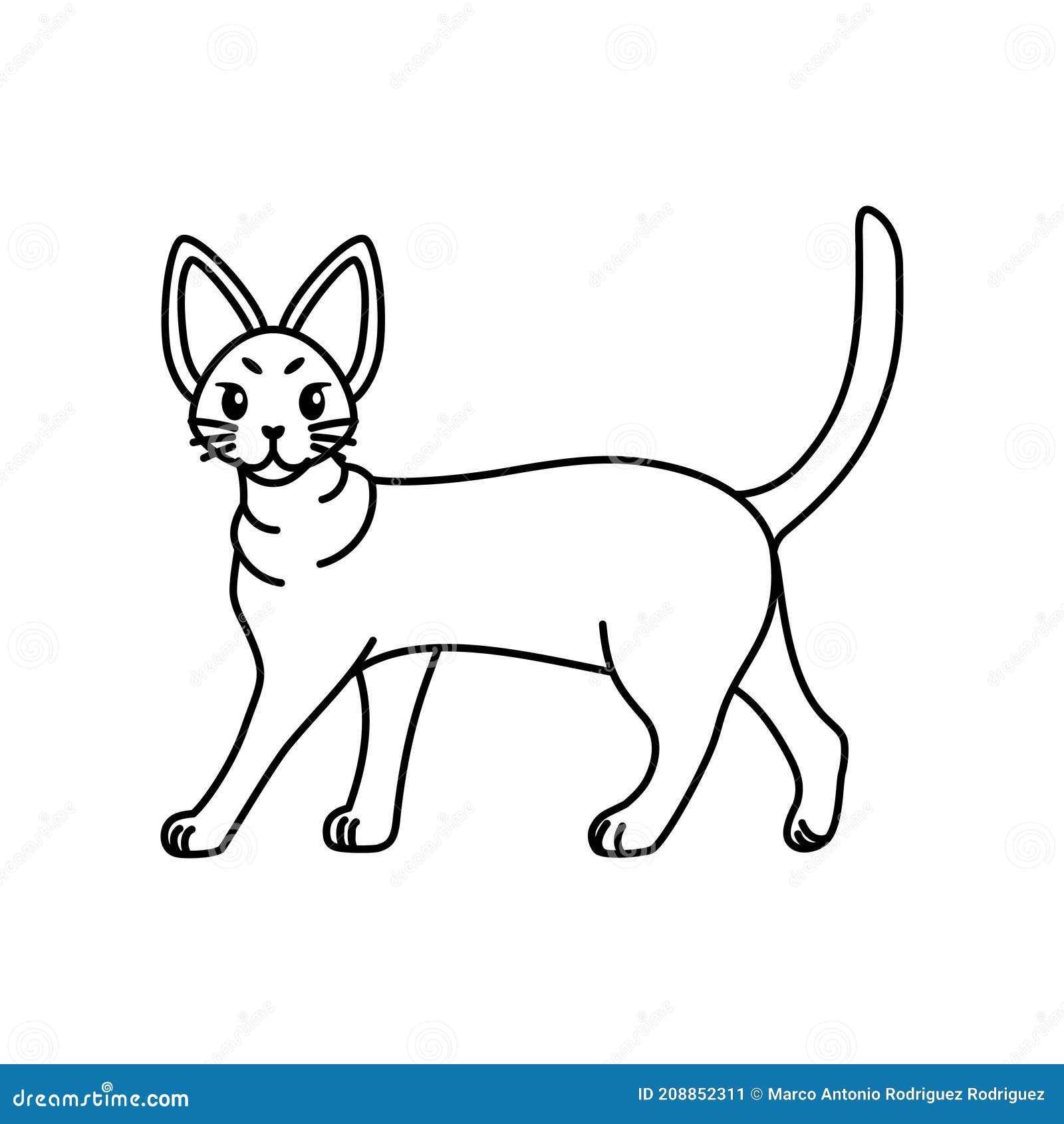 Isolated outline of a cat stock vector. Illustration of icon - 208852311