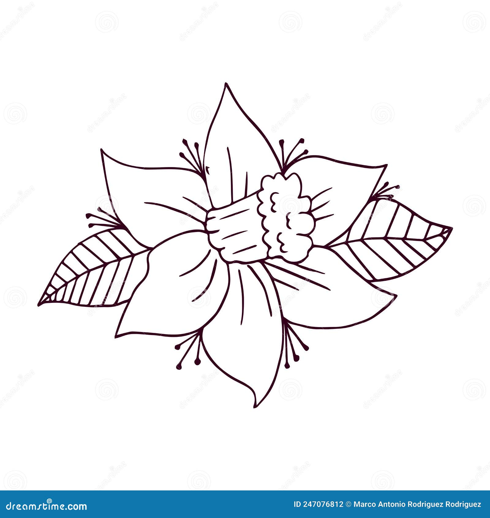 Isolated Outline of a Cute Flower Flat Design Vector Stock Vector ...