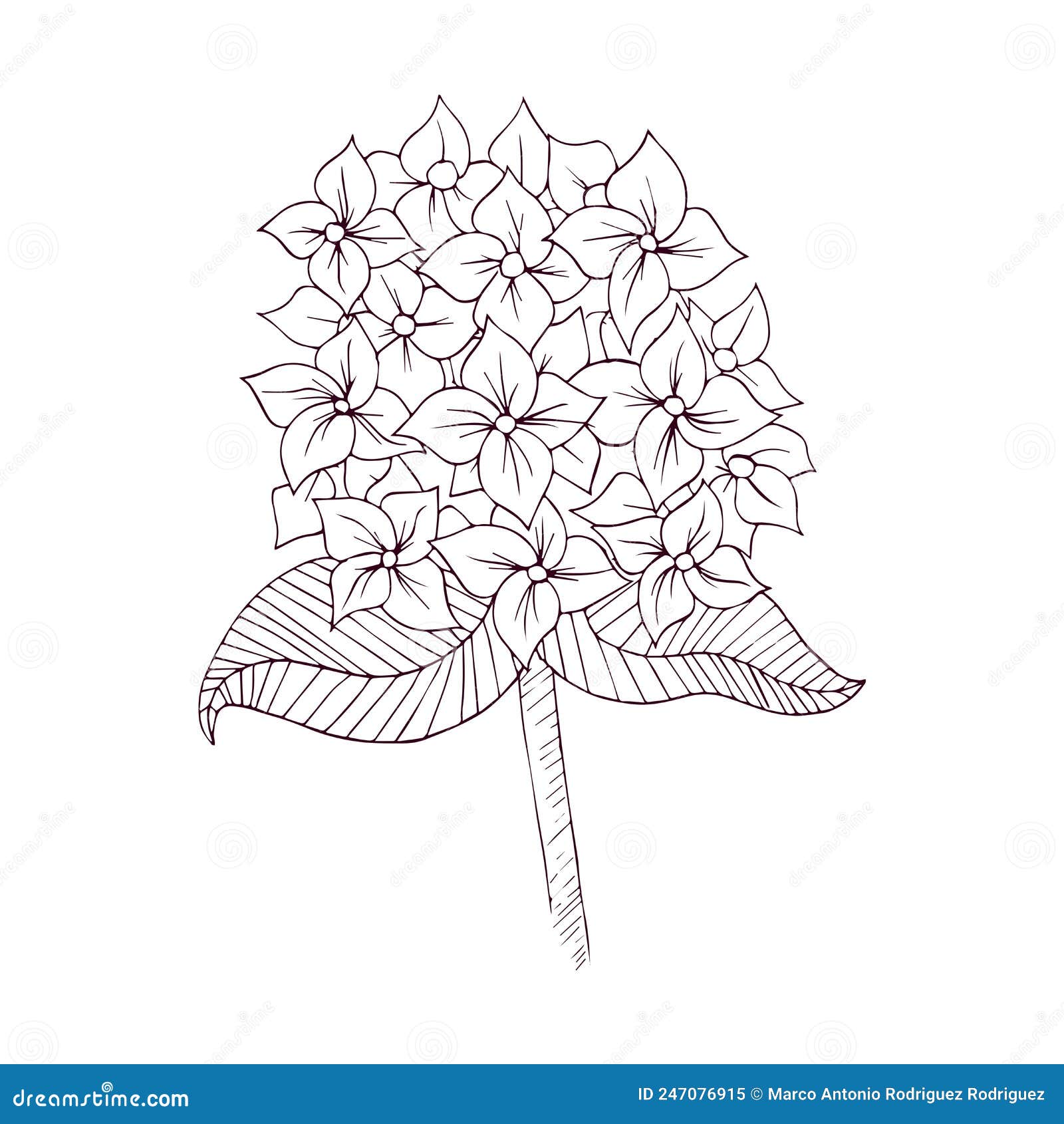 Isolated Outline of a Cute Flower Flat Design Vector Stock Vector ...