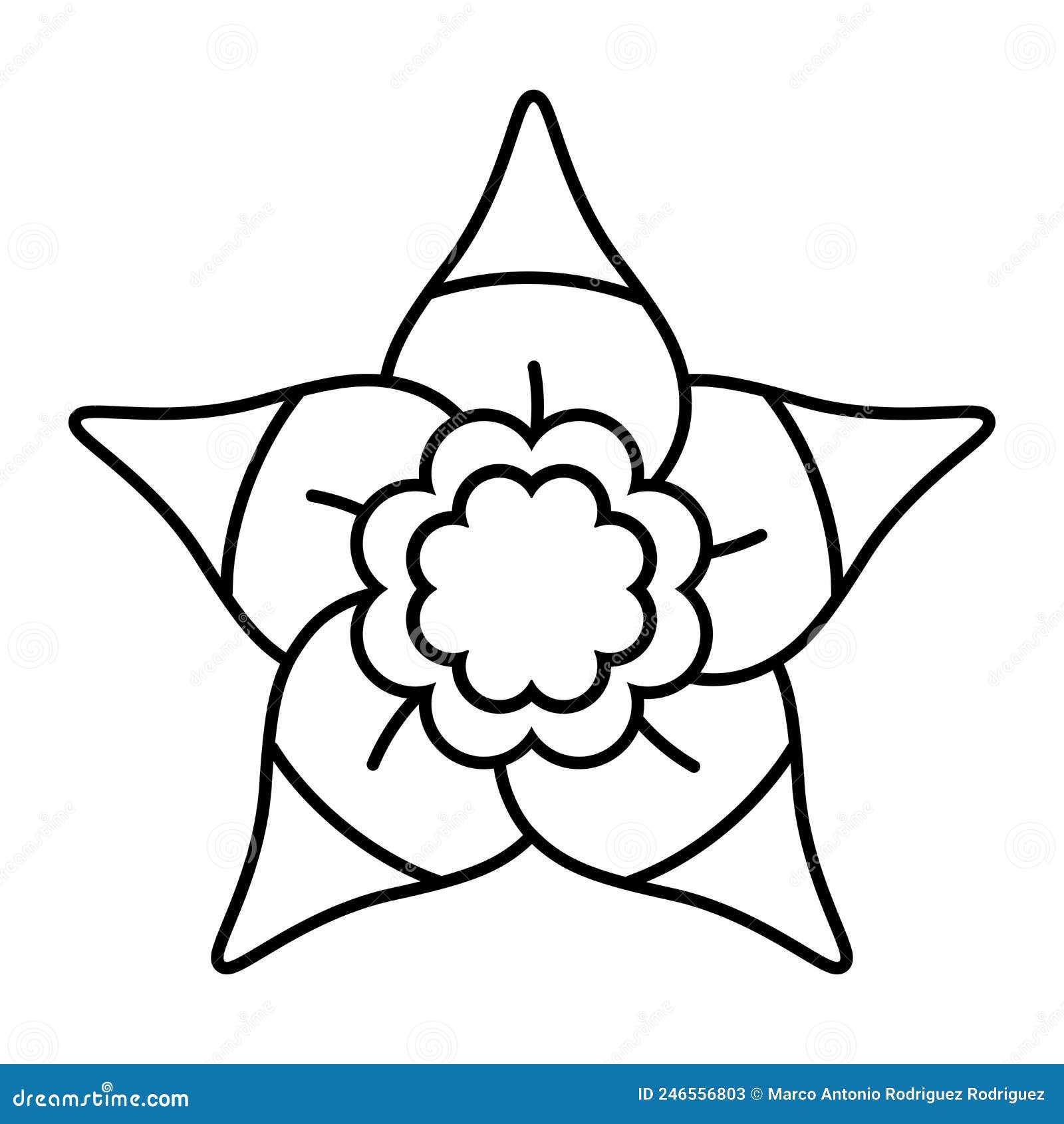 Isolated Outline of a Flower Vector Stock Vector - Illustration of ...