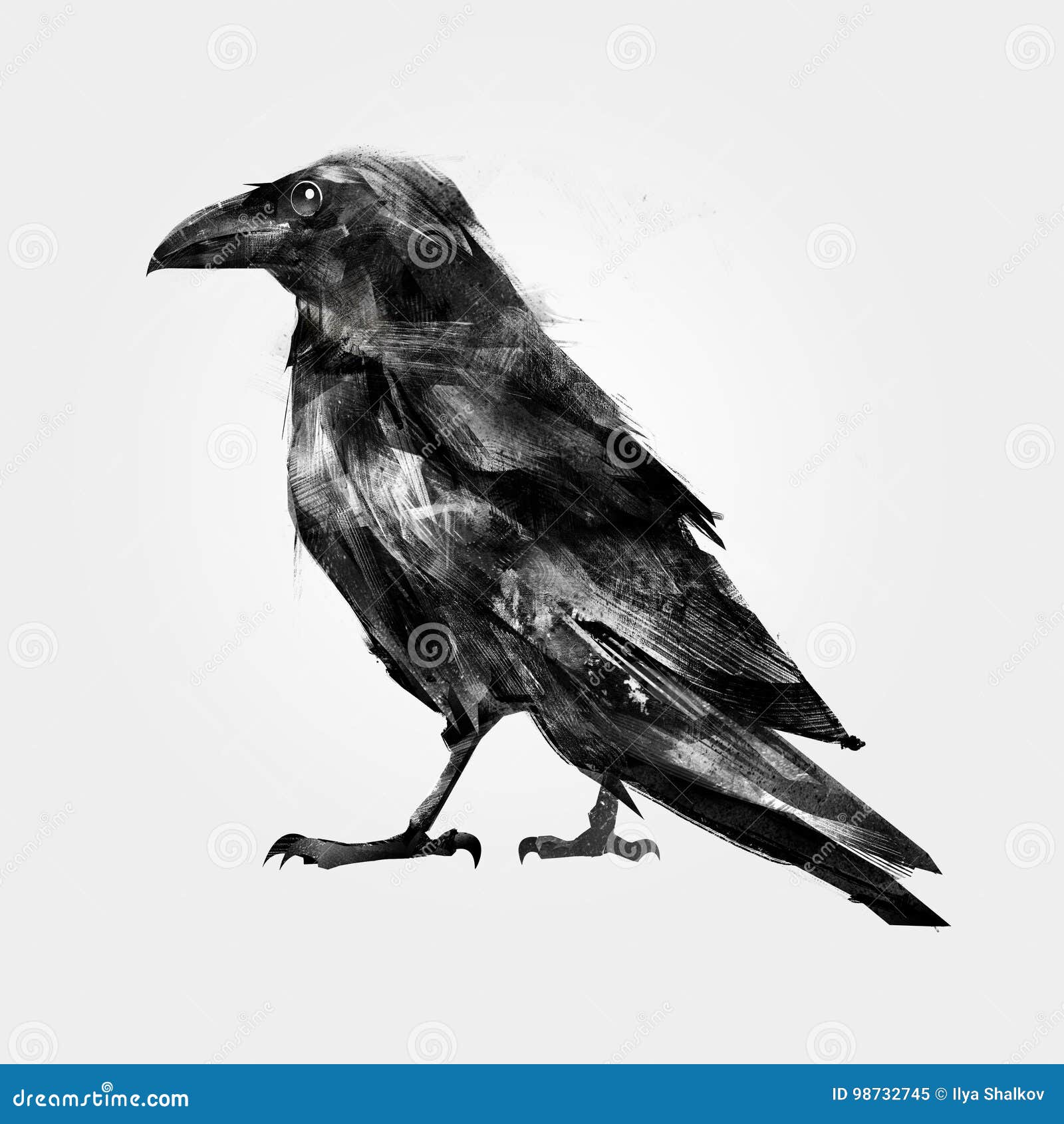 Isolated Painted Sitting Bird Raven Stock Illustration - Illustration ...
