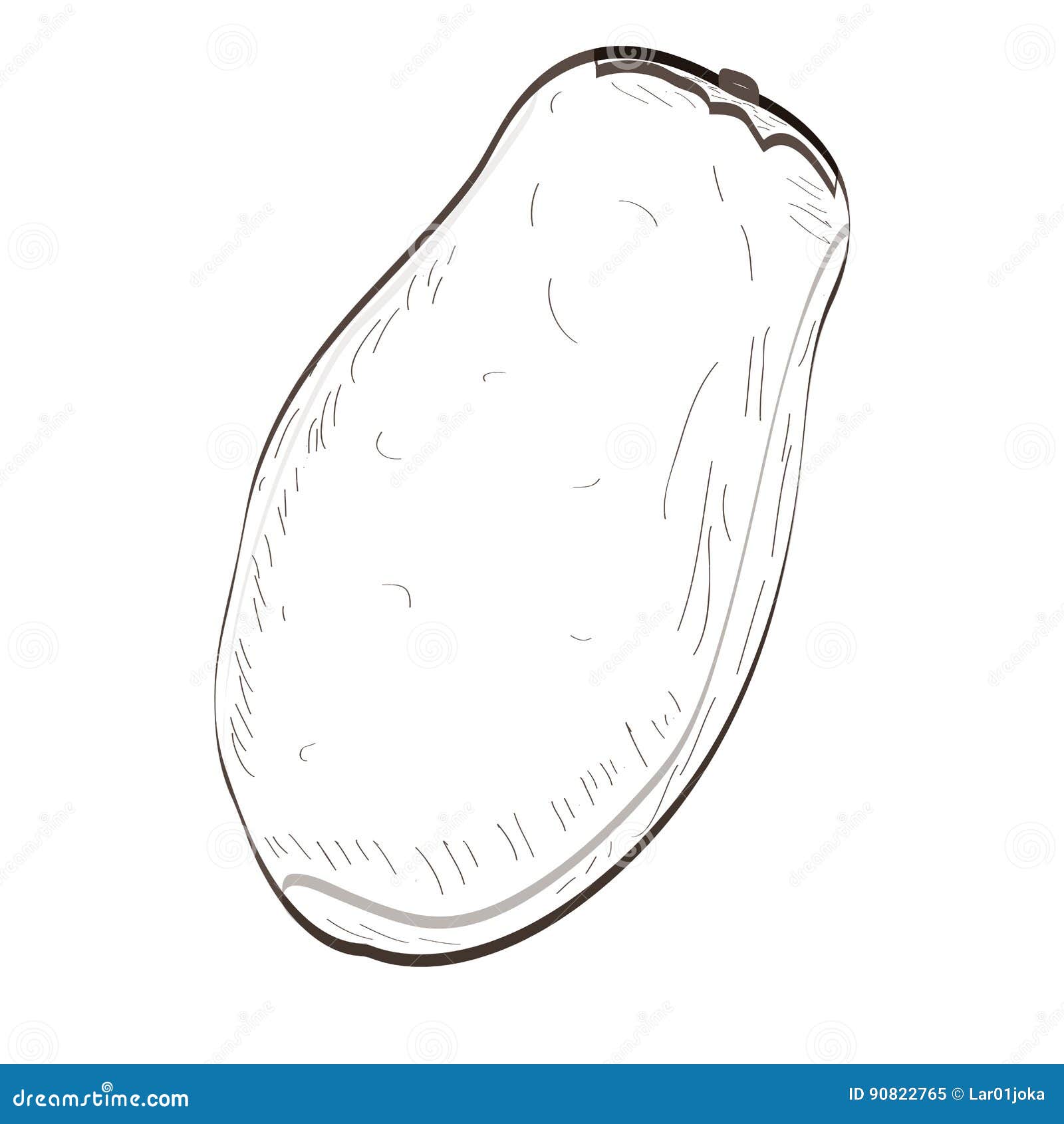 Isolated papaya outline stock vector. Illustration of organic - 90822765