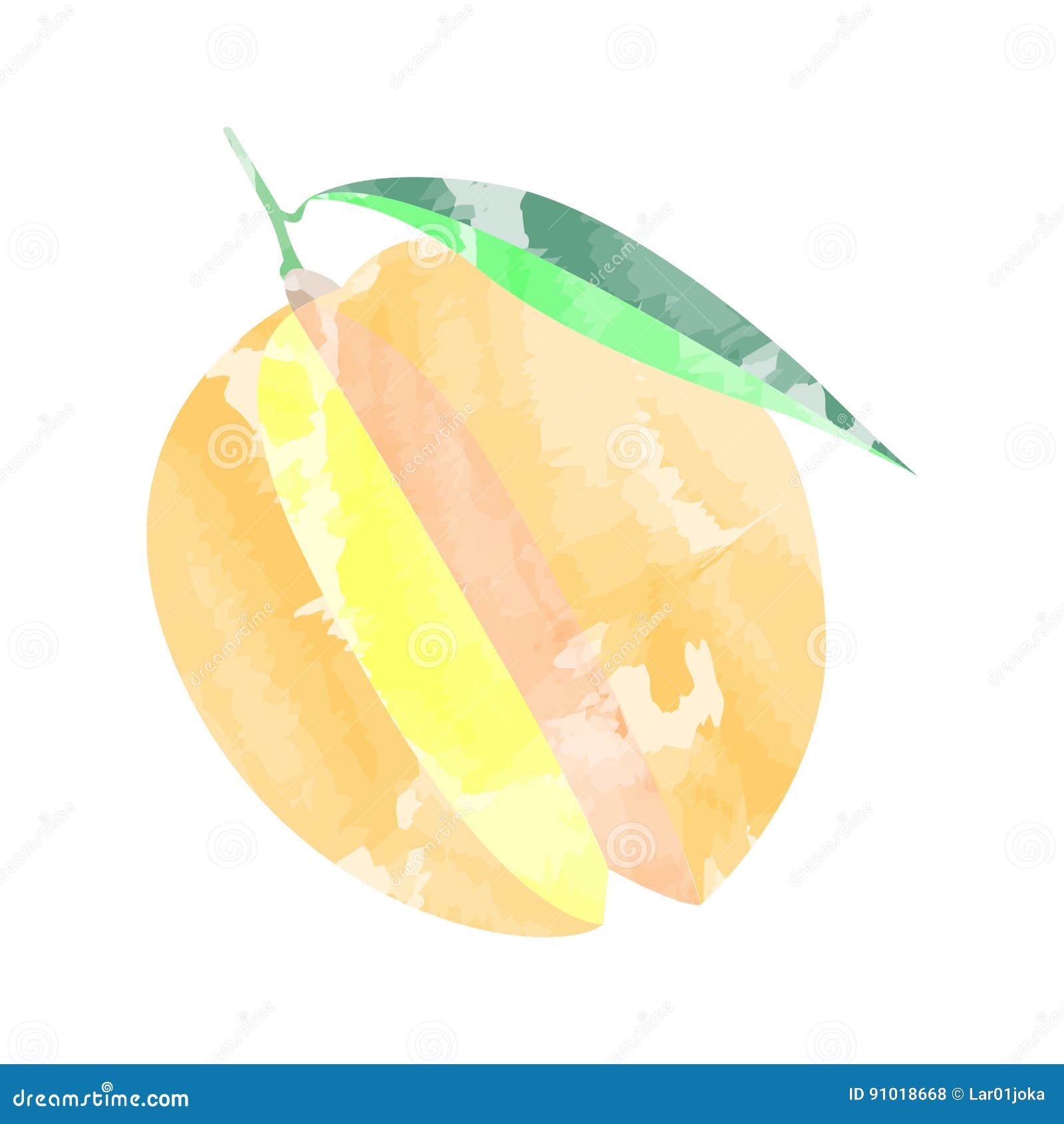 Isolated peach cut stock vector. Illustration of peach - 91018668
