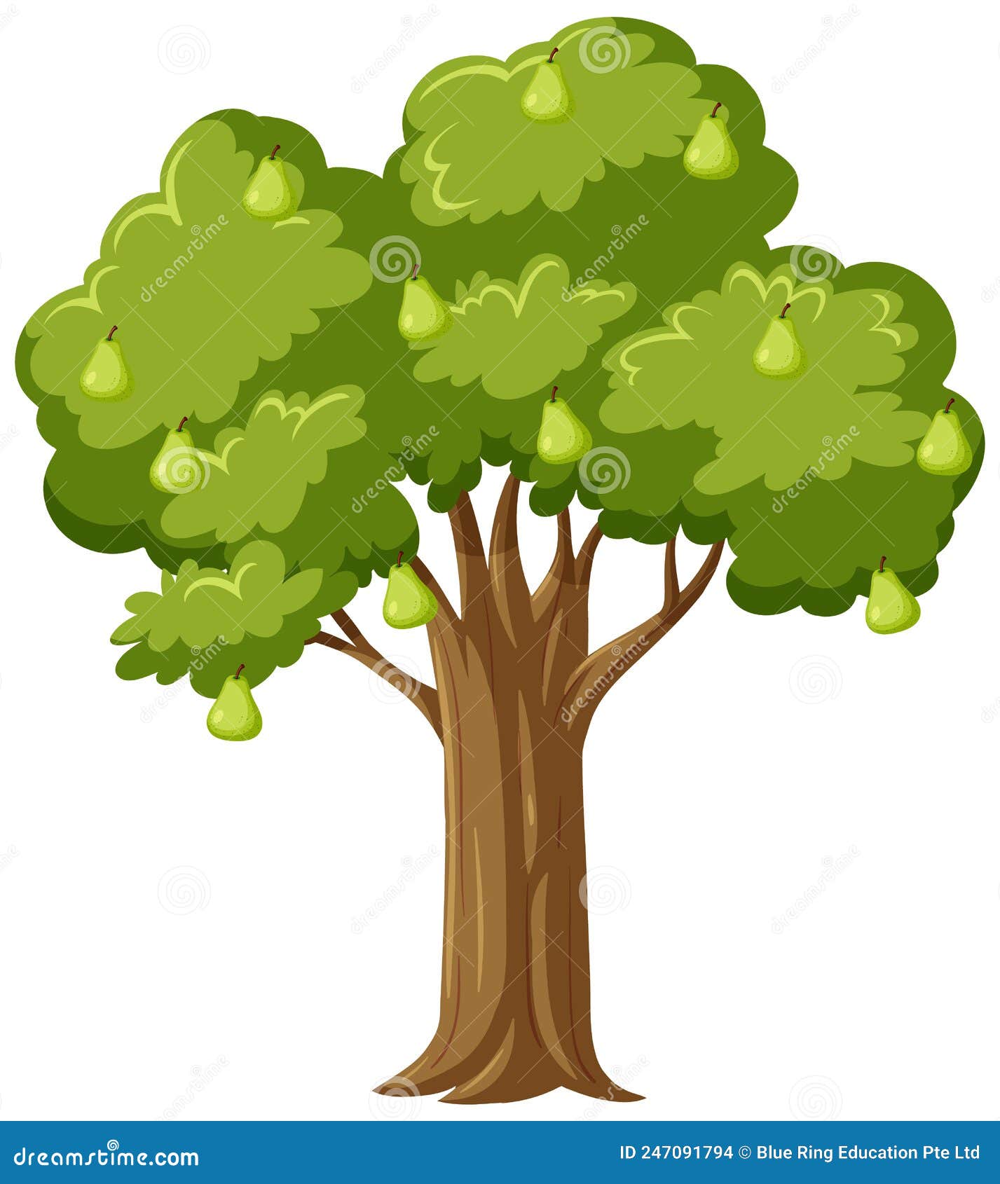 Isolated Pear Tree in Cartoon Style Stock Vector - Illustration of ...