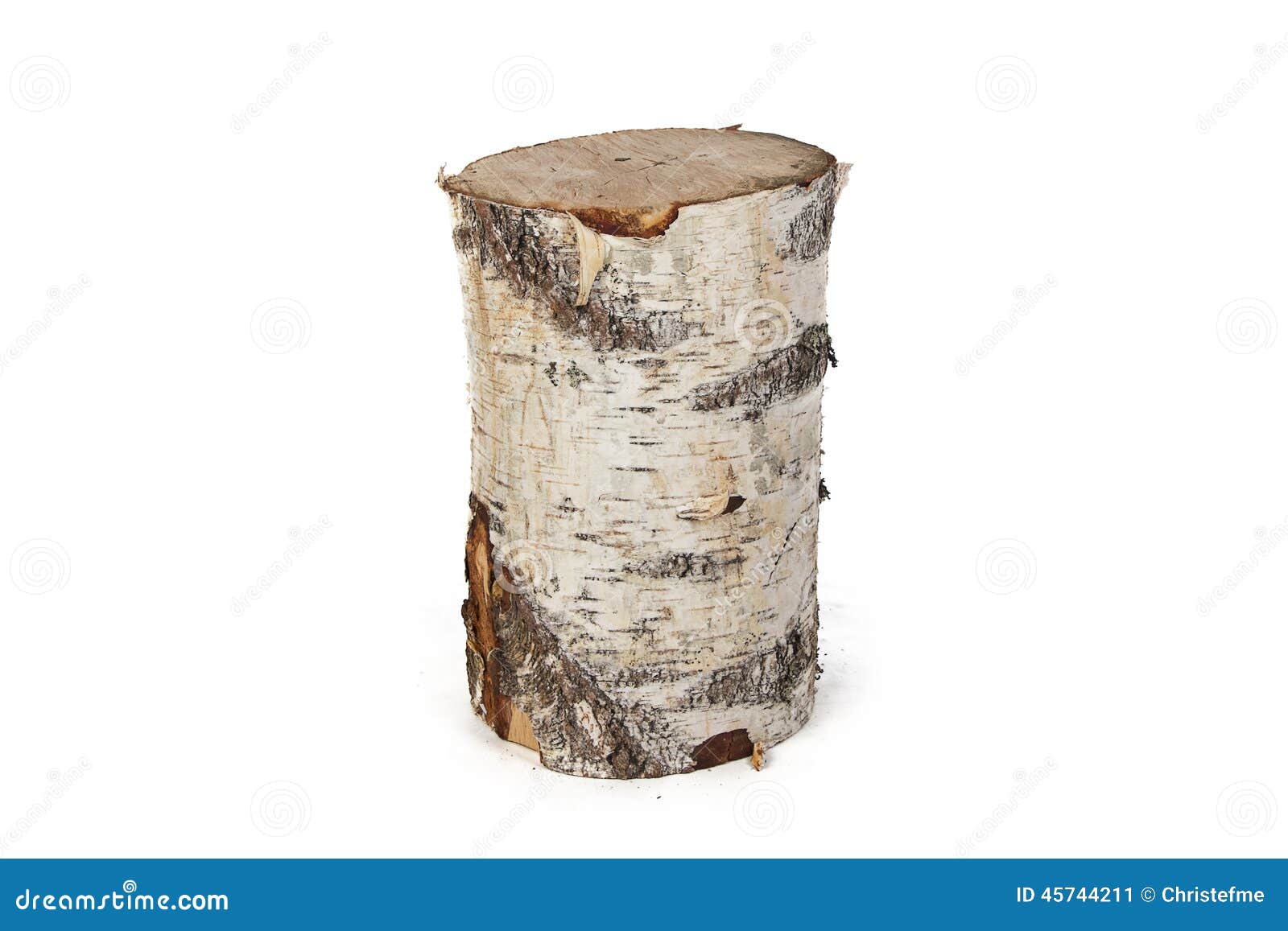Isolated Photo of Birch Stump Stock Image - Image of stem, firewood ...