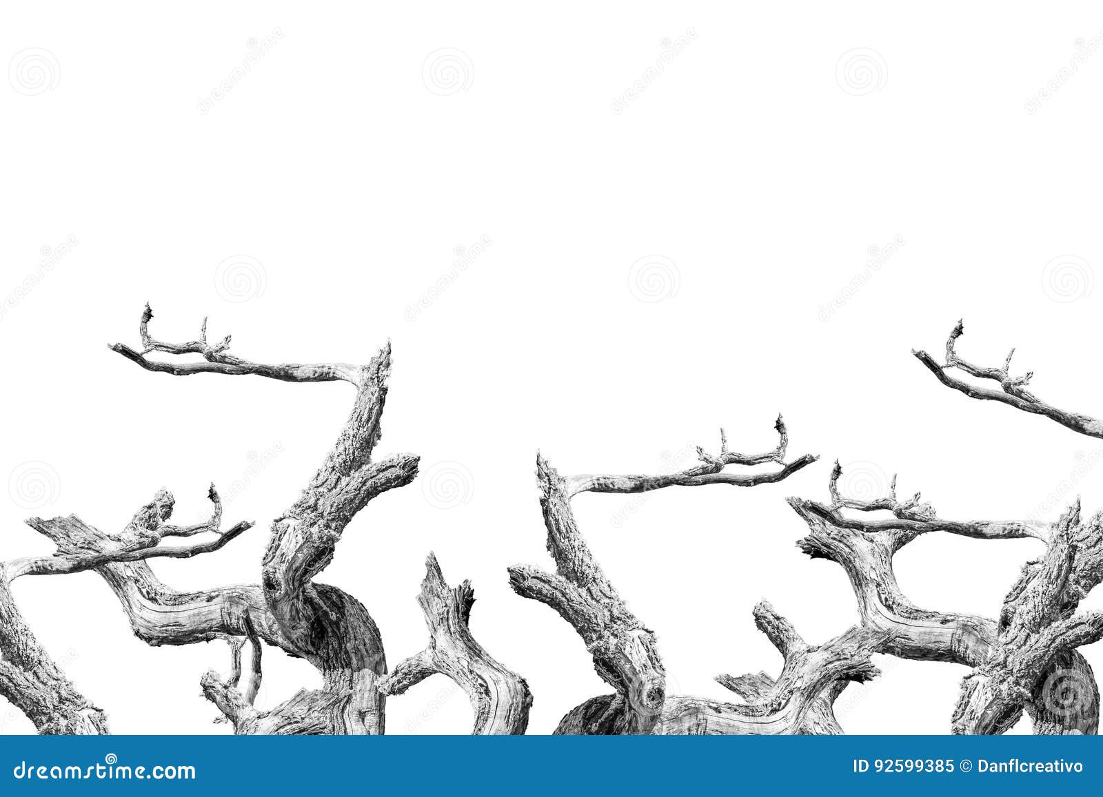 Isolated Photo Dry Trees Background Stock Illustration - Illustration ...