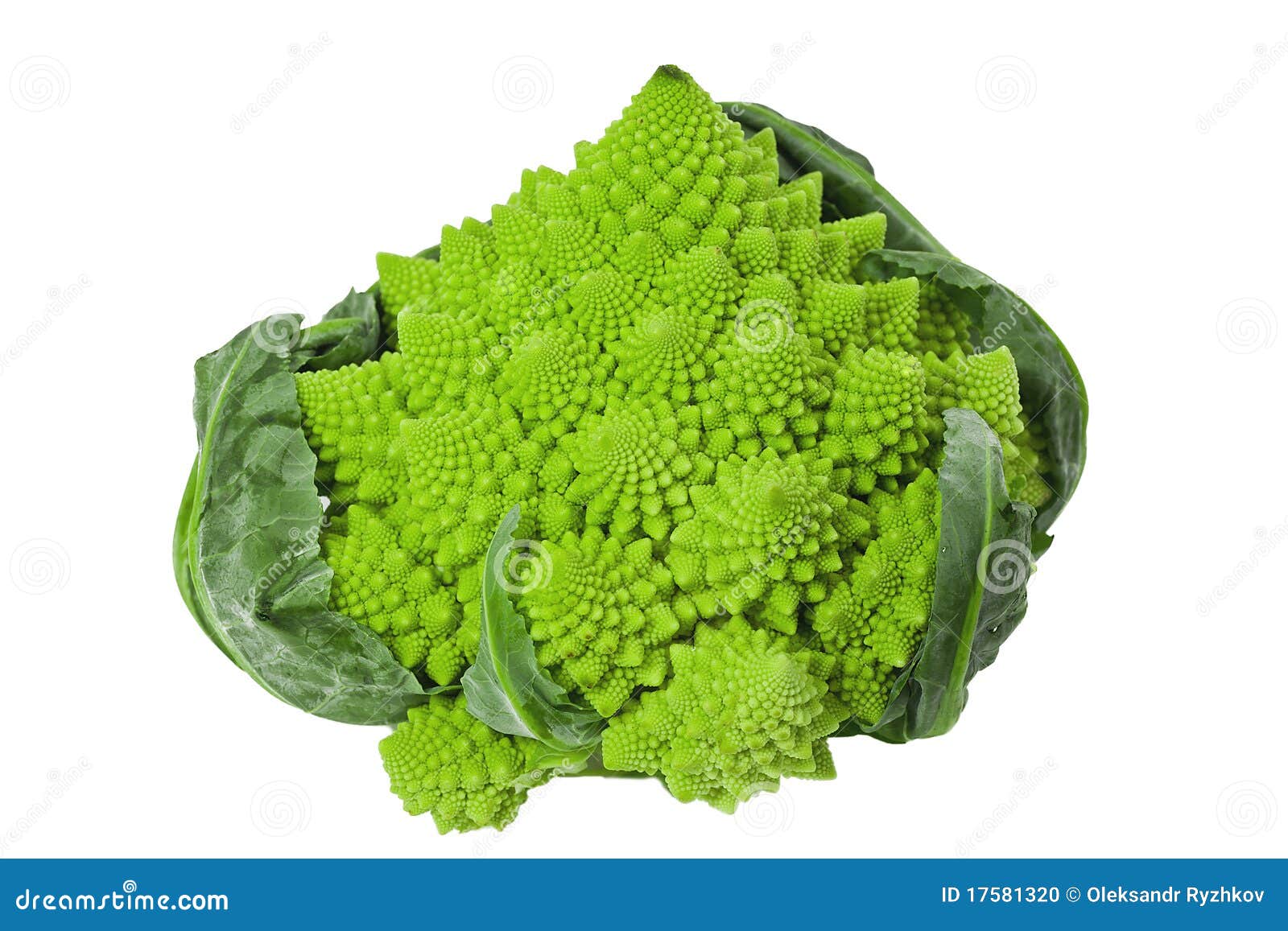Isolated Photo of Fresh Romanesco Stock Photo - Image of broccoflower ...