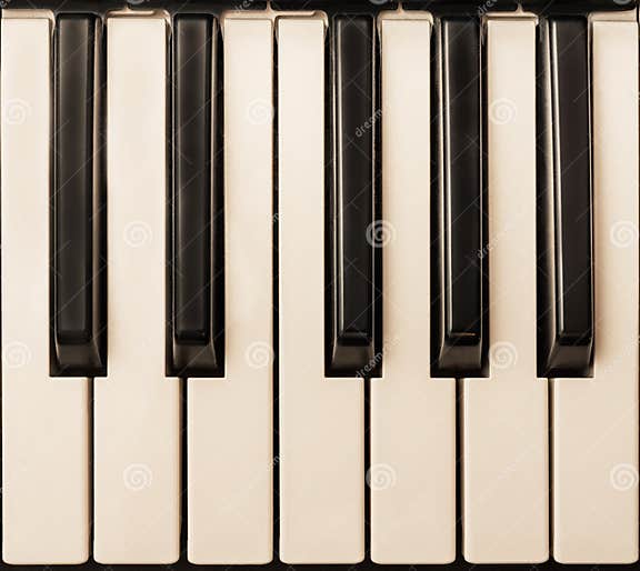 Piano Keyboard One Octave stock photo. Image of octave - 253473642