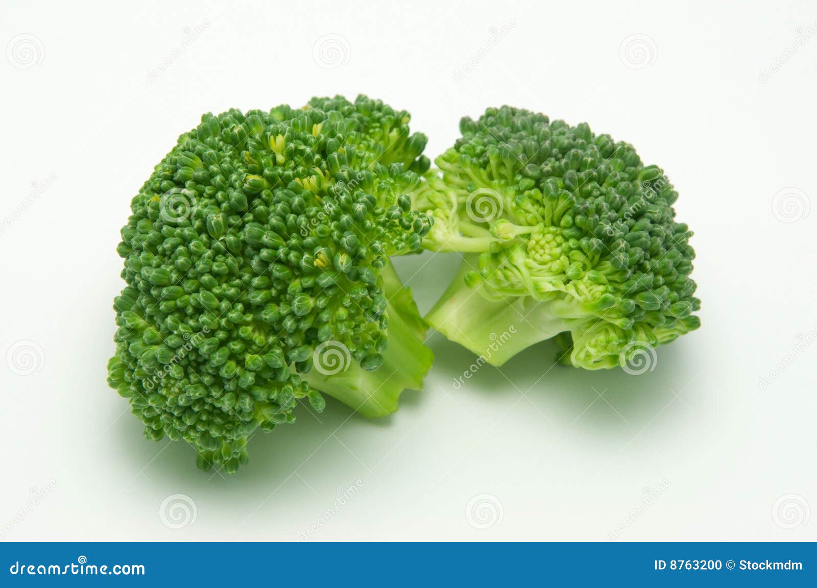 Isolated pieces of brocoli stock photo. Image of nourishing - 8763200