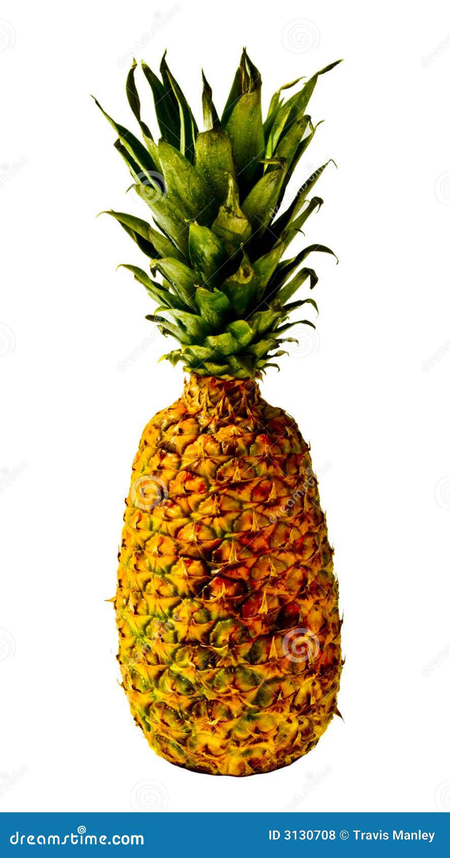 Isolated Pineapple stock photo. Image of juicy, spines - 3130708
