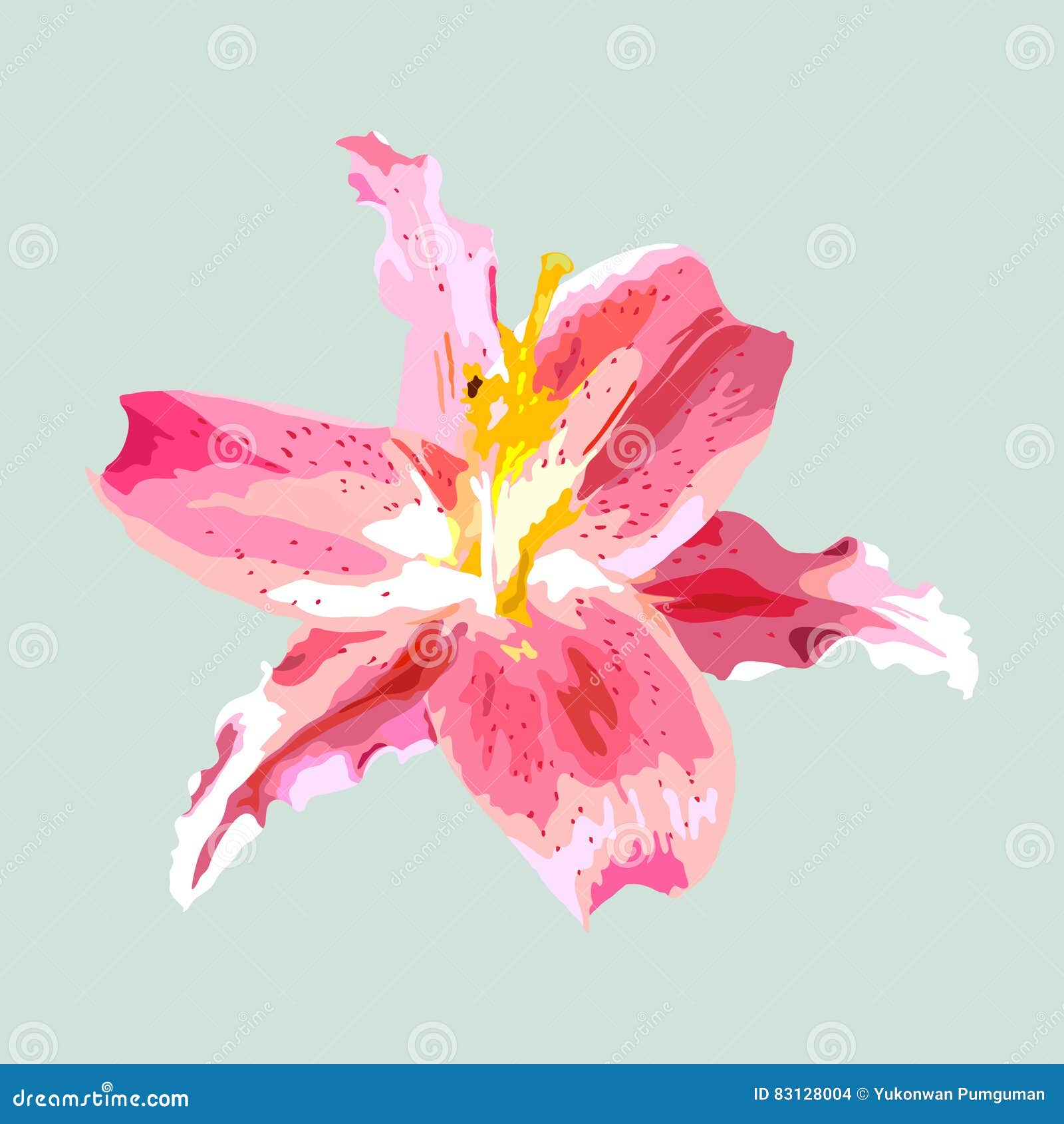 Isolated Pink Lily Illustration, Blooming Flower Stock Vector ...