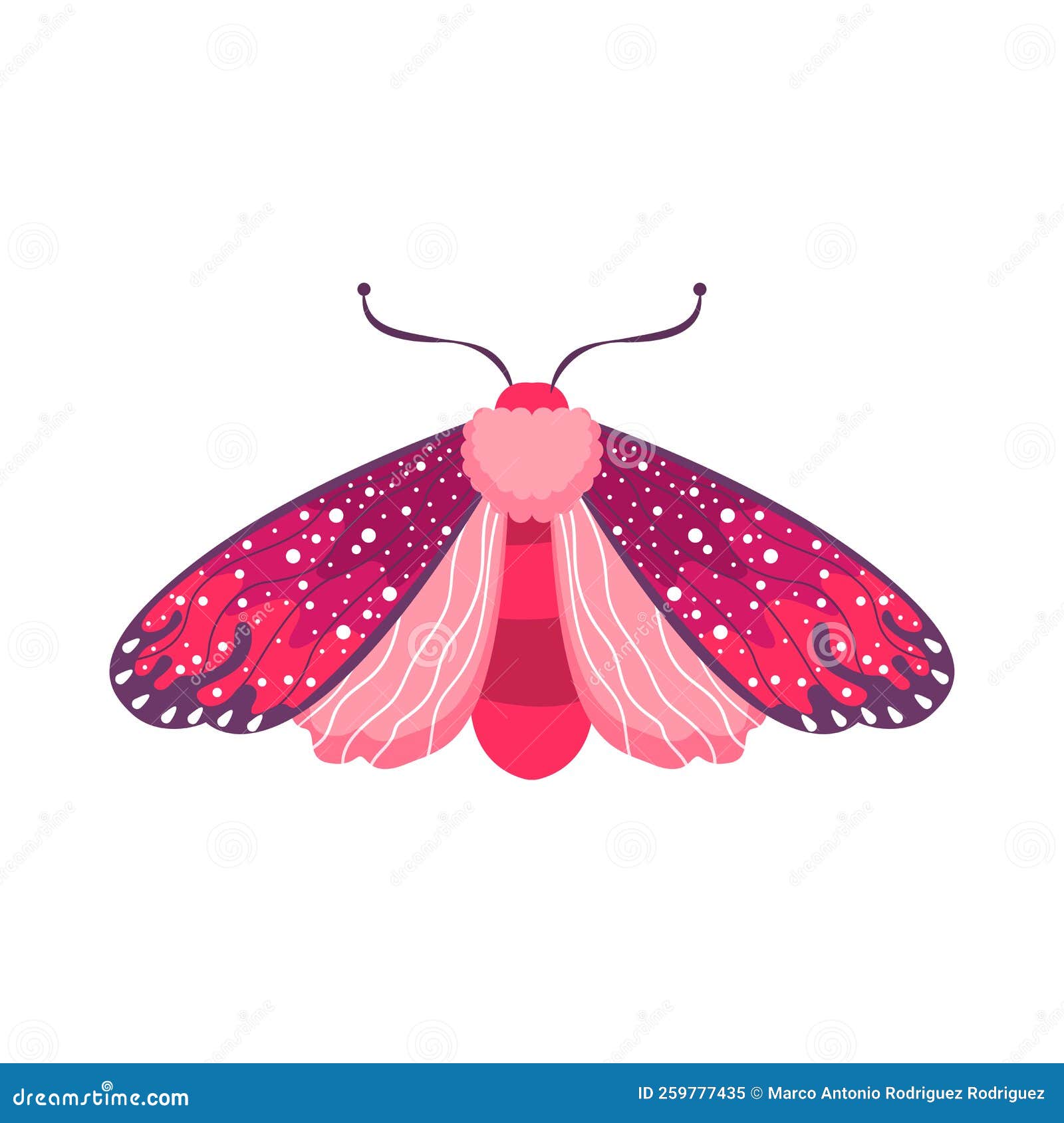 Isolated Pink Moth Vector Illustration Stock Vector - Illustration of ...