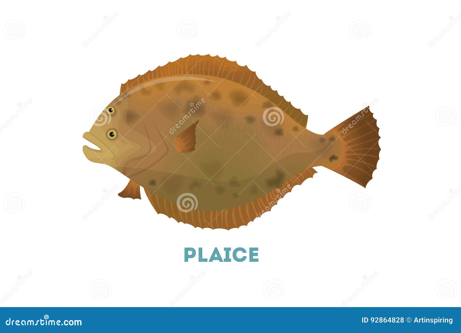 Plaice, Vintage Engraving Vector Illustration | CartoonDealer.com ...