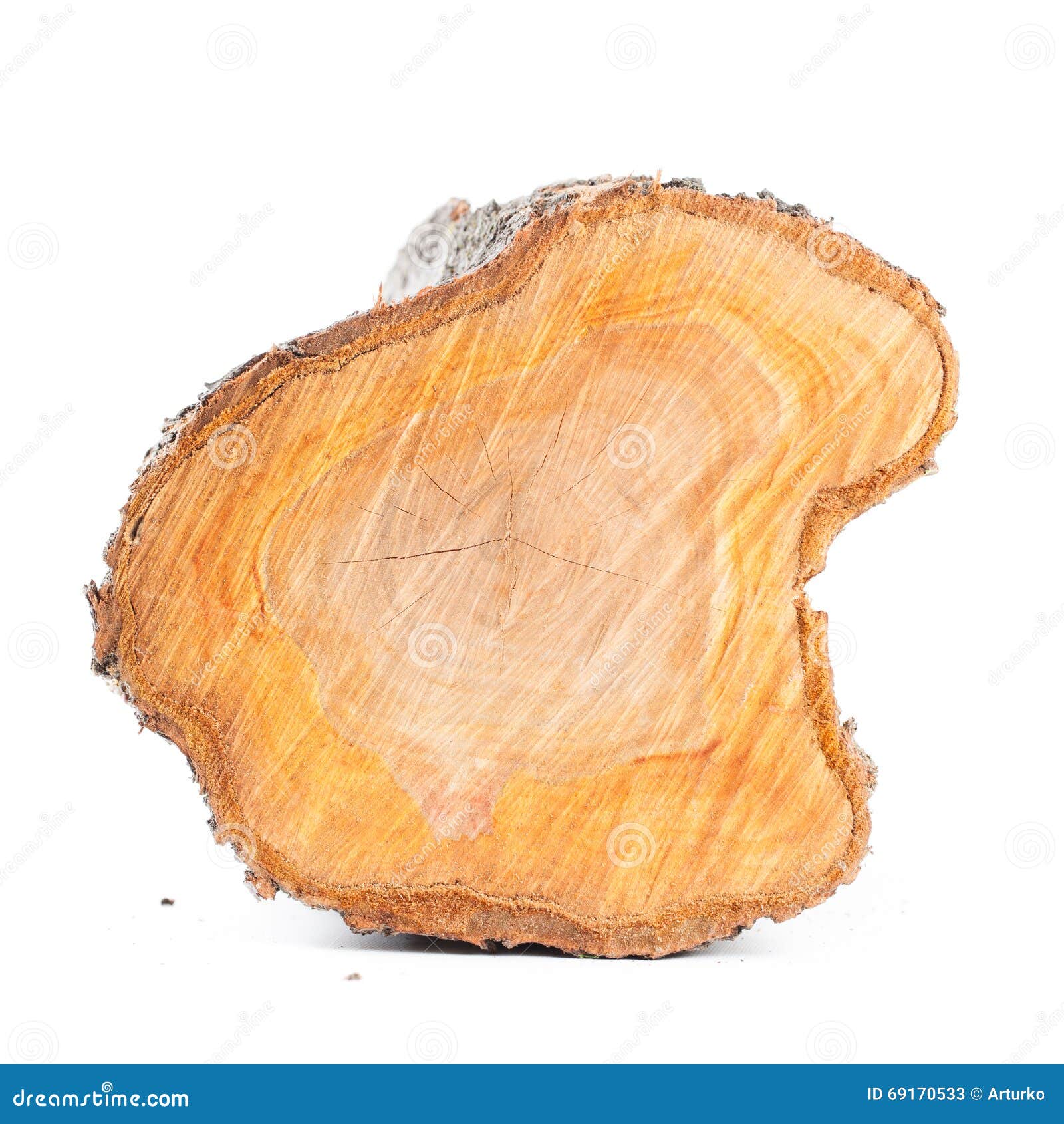 Isolated Plum Tree Stub Log Stock Image - Image of plum, bark: 69170533