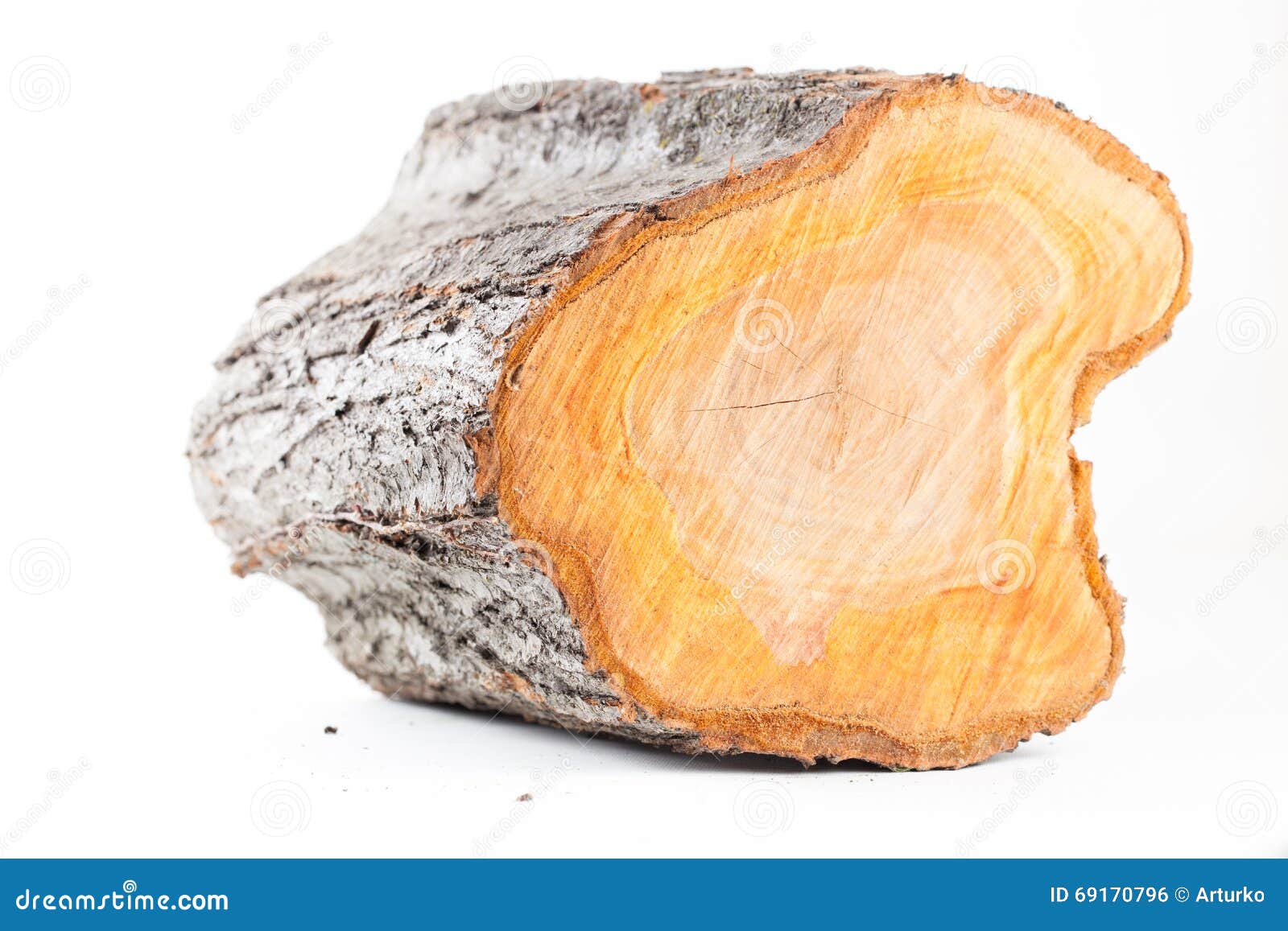 Isolated Plum Tree Stub Log Stock Photo - Image of pattern, brown: 69170796