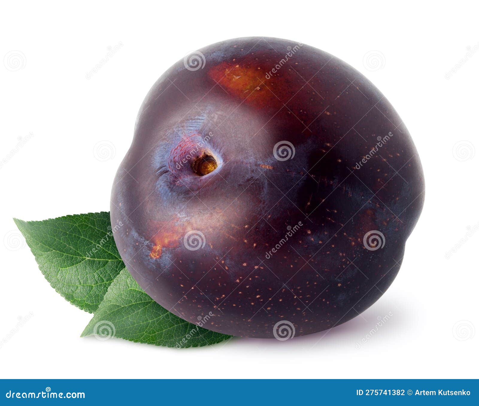 Isolated Plum. Whole of Blue Plum Fruit with Leaves Isolated on White ...