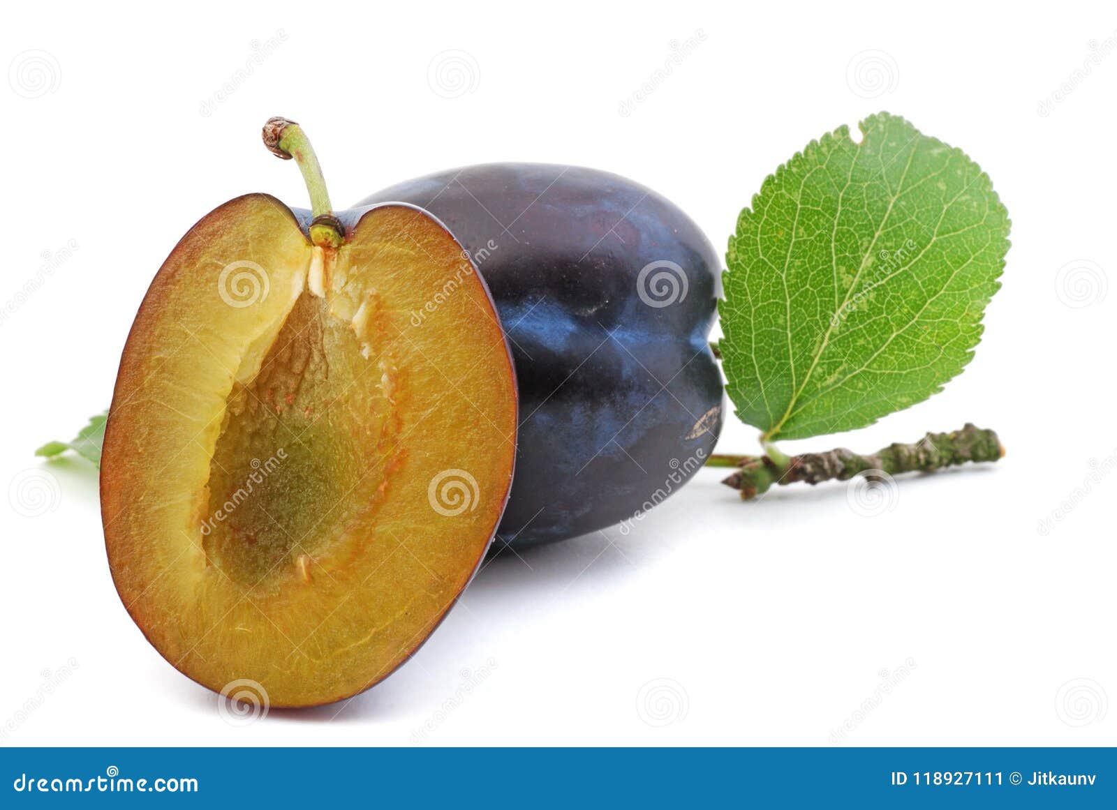 Fresh blue plums. stock image. Image of ripe, plums - 118927111