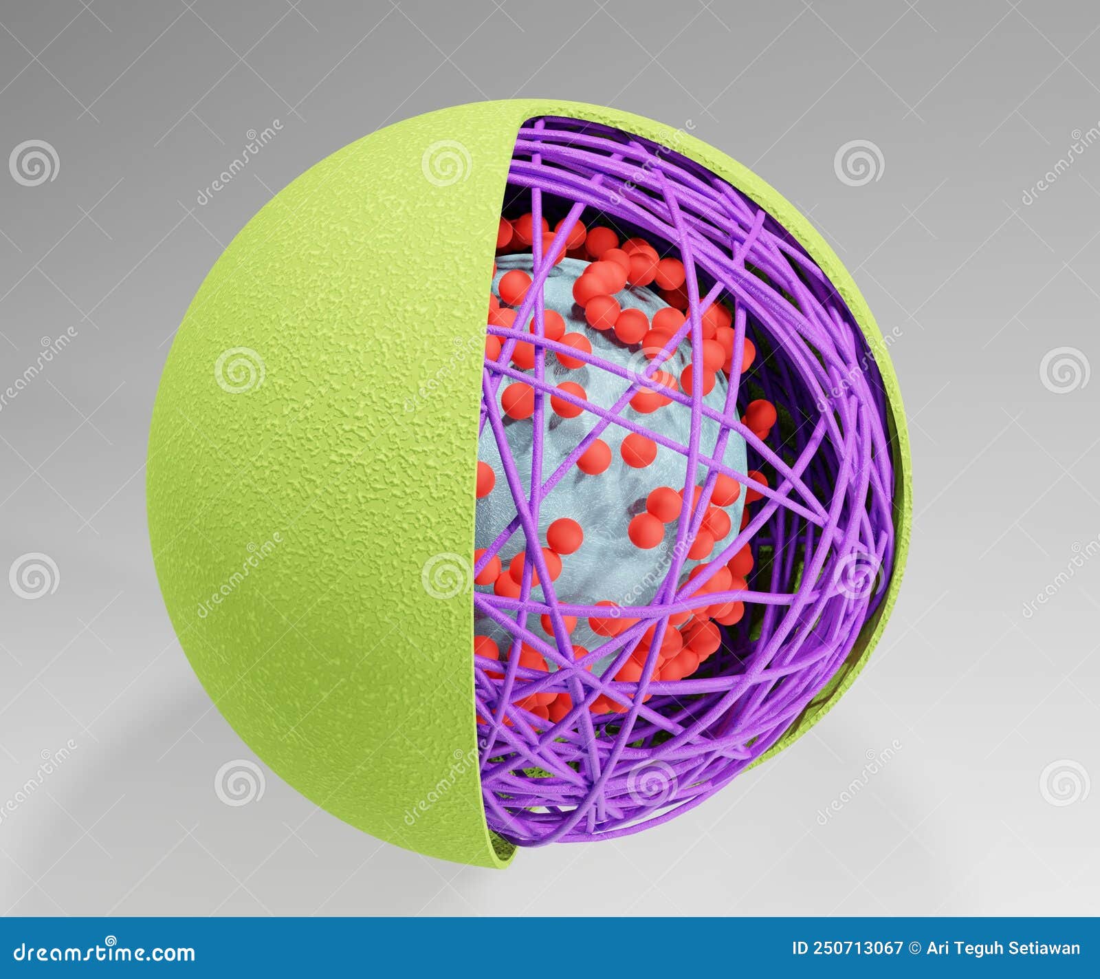 Polymeric Nanoparticle As a Nanocapsule Use As Imaging Agents or for ...