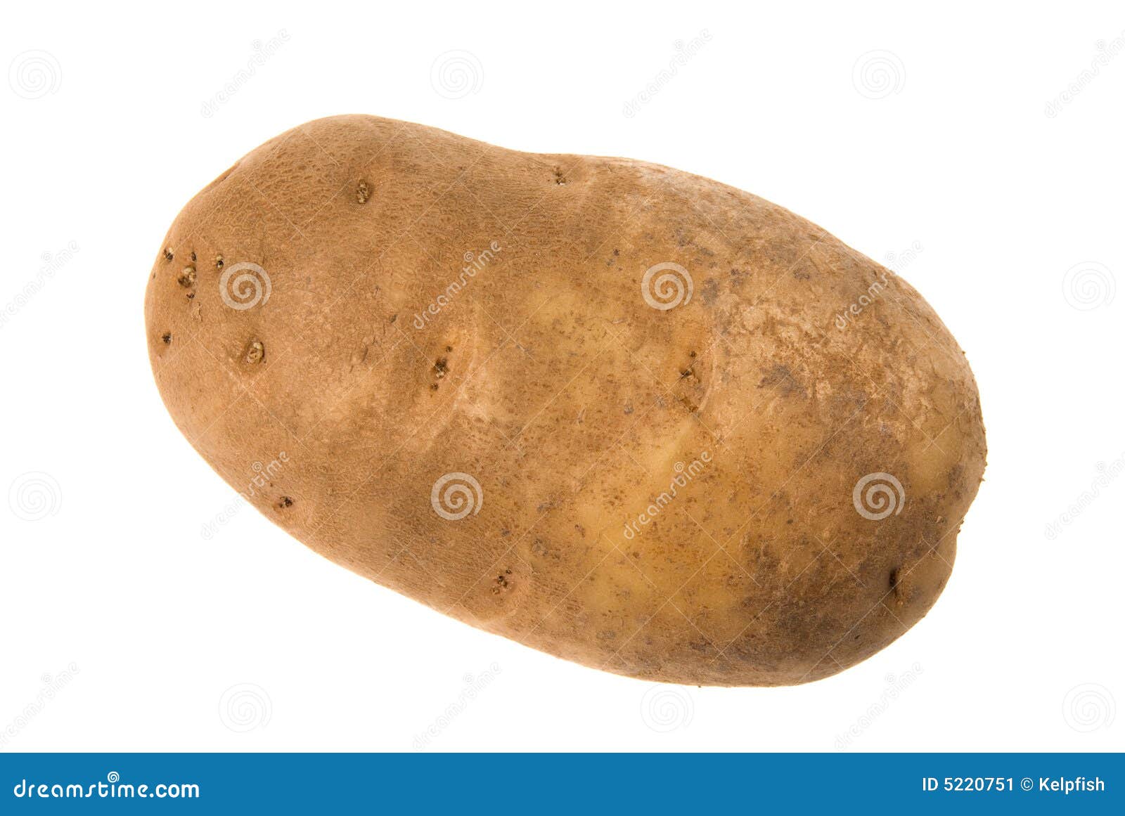 Isolated potatoe stock image. Image of eating, healthy - 5220751