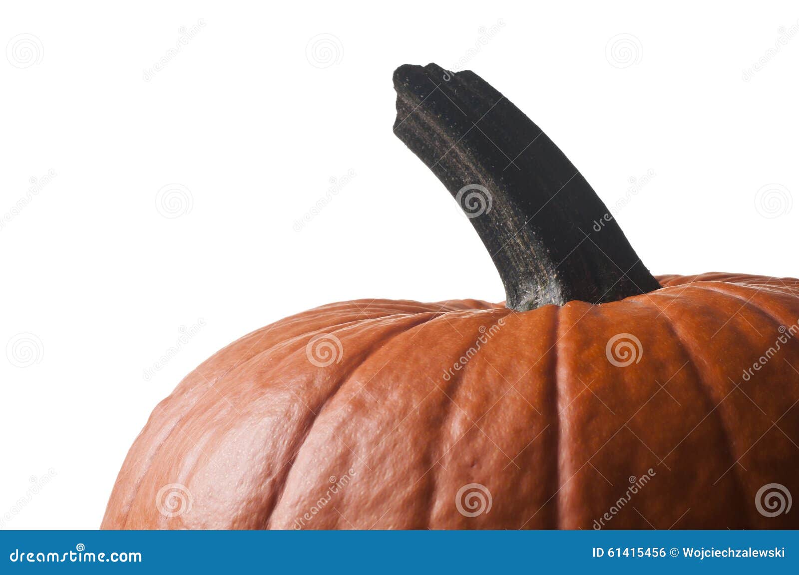 Isolated Pumpkin closeup stock photo. Image of lantern - 61415456