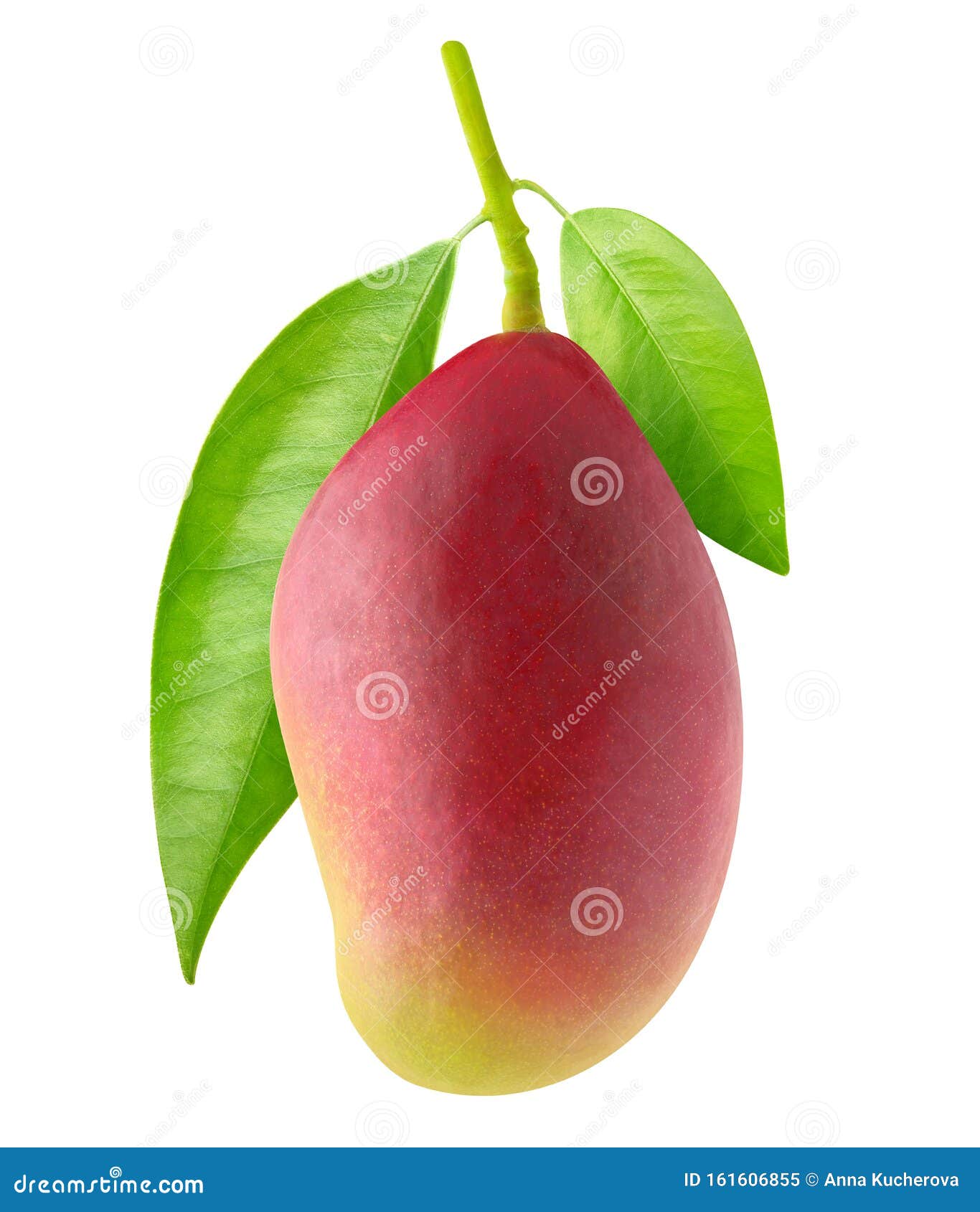 Isolated purple mango stock image. Image of sweet, fruit - 161606855