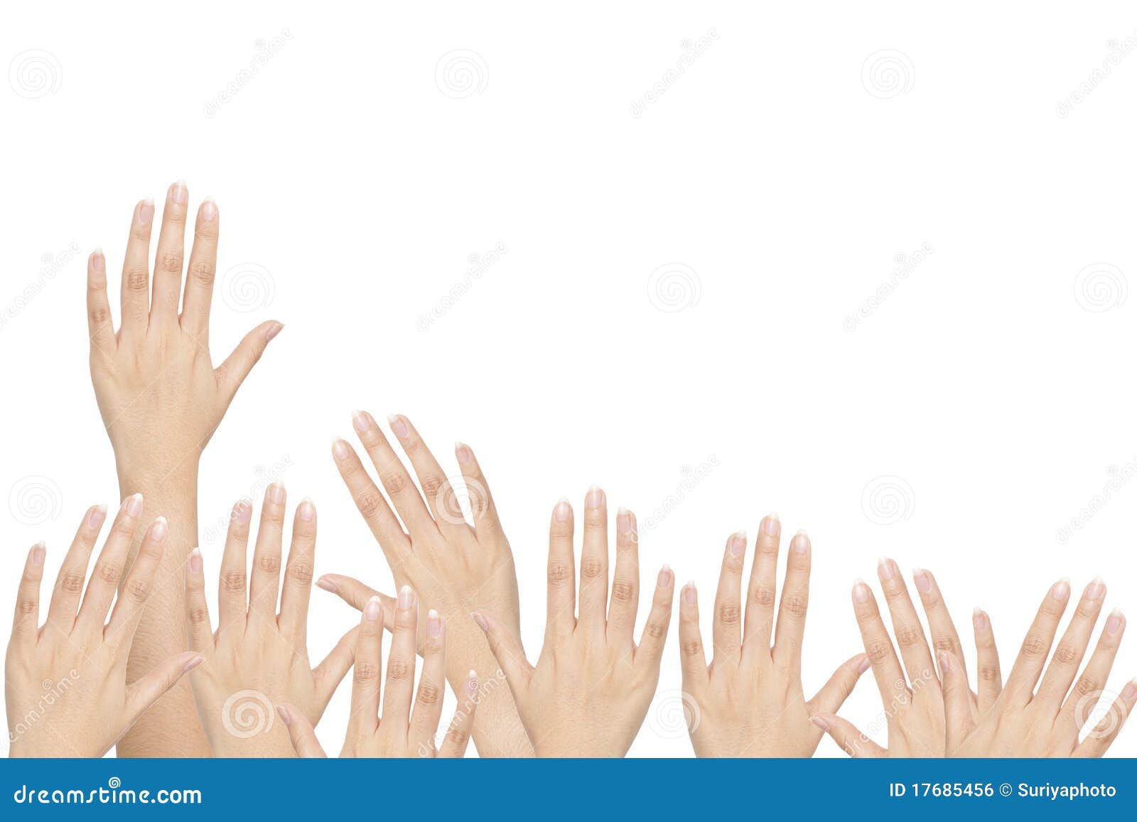 Isolated: raise up hands stock photo. Image of female - 17685456