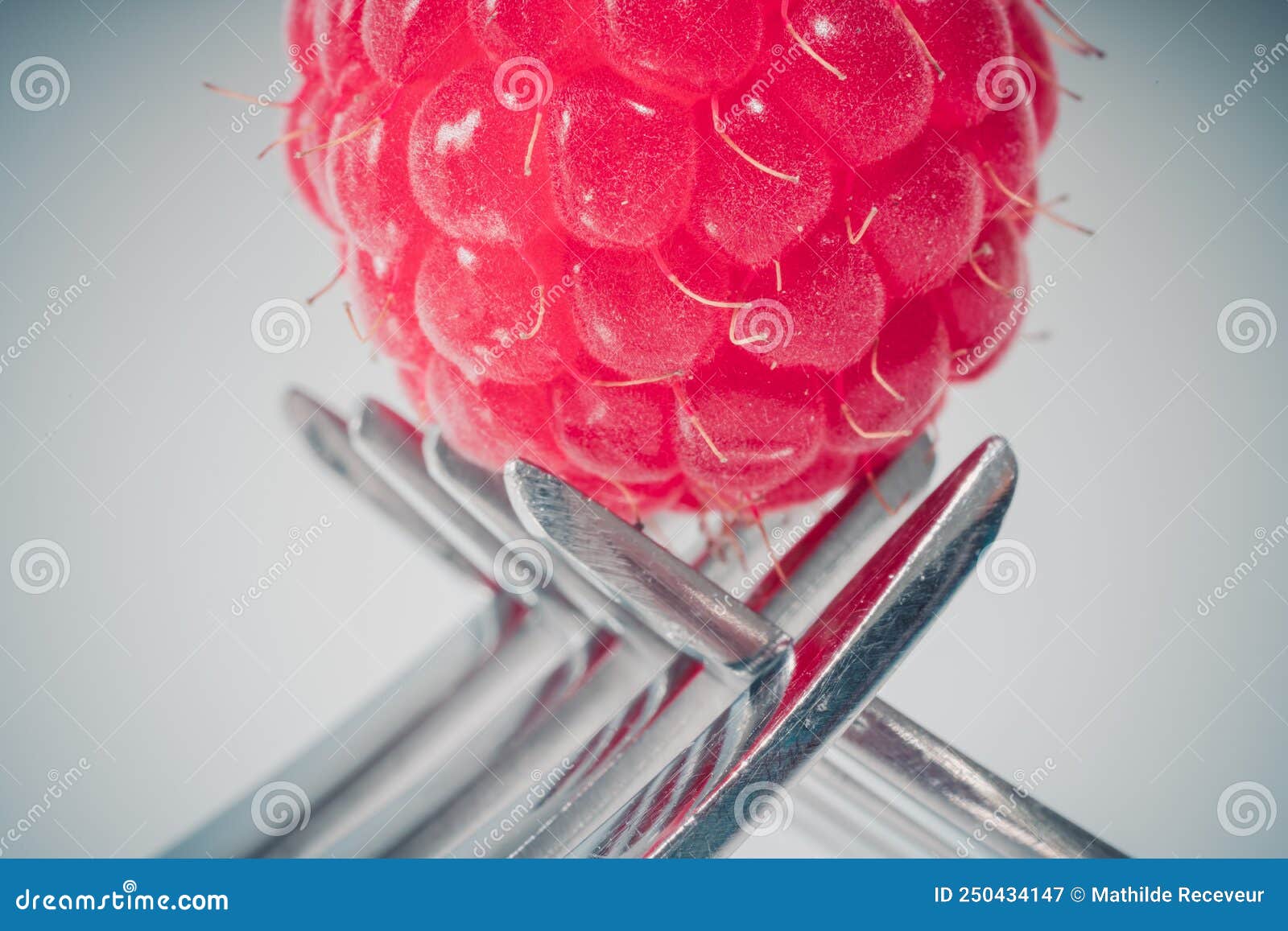 Isolated Raspberry on Two Crossing Forks on a White Background. Copy ...