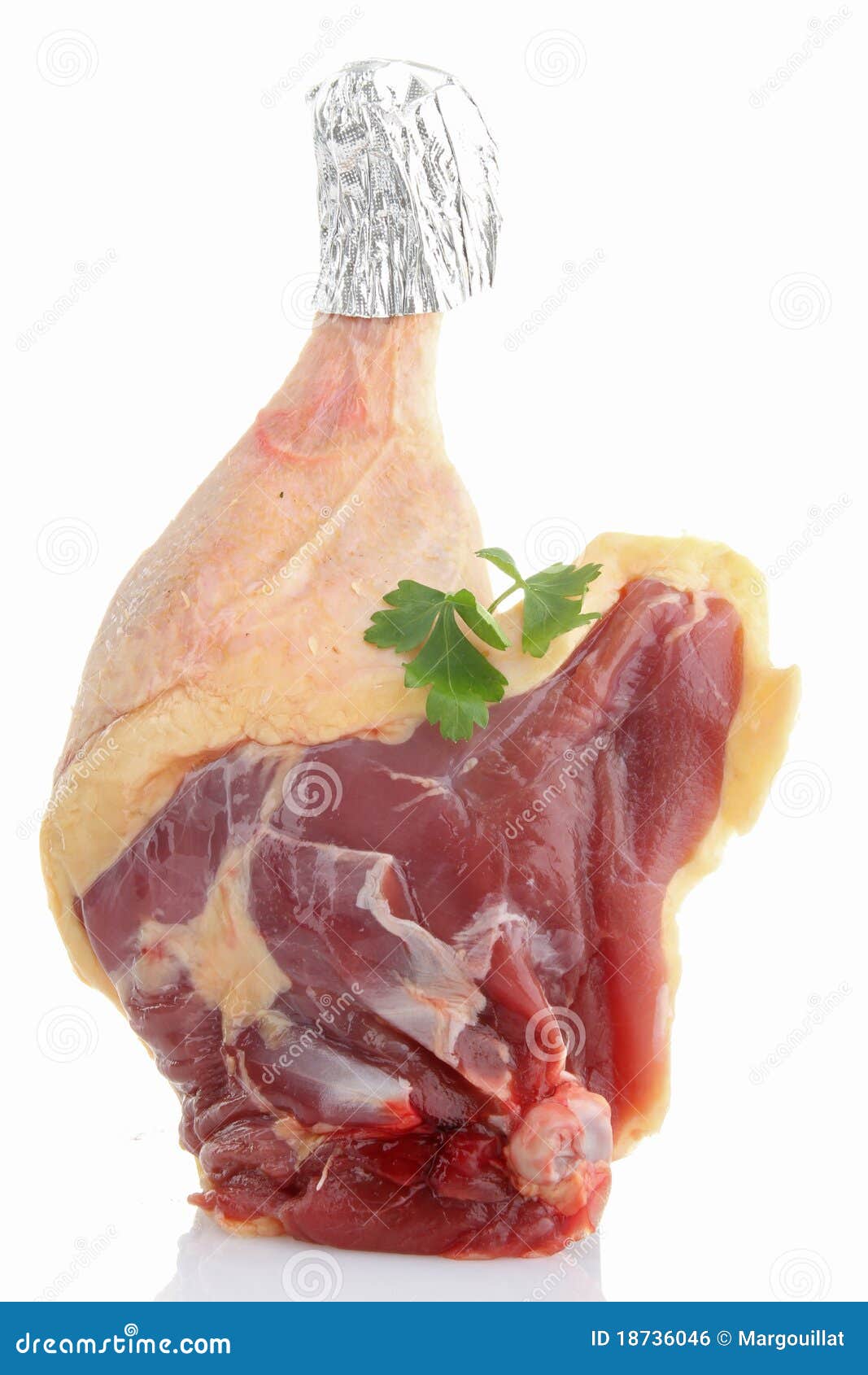 Isolated raw duck leg stock photo. Image of white, fresh - 18736046