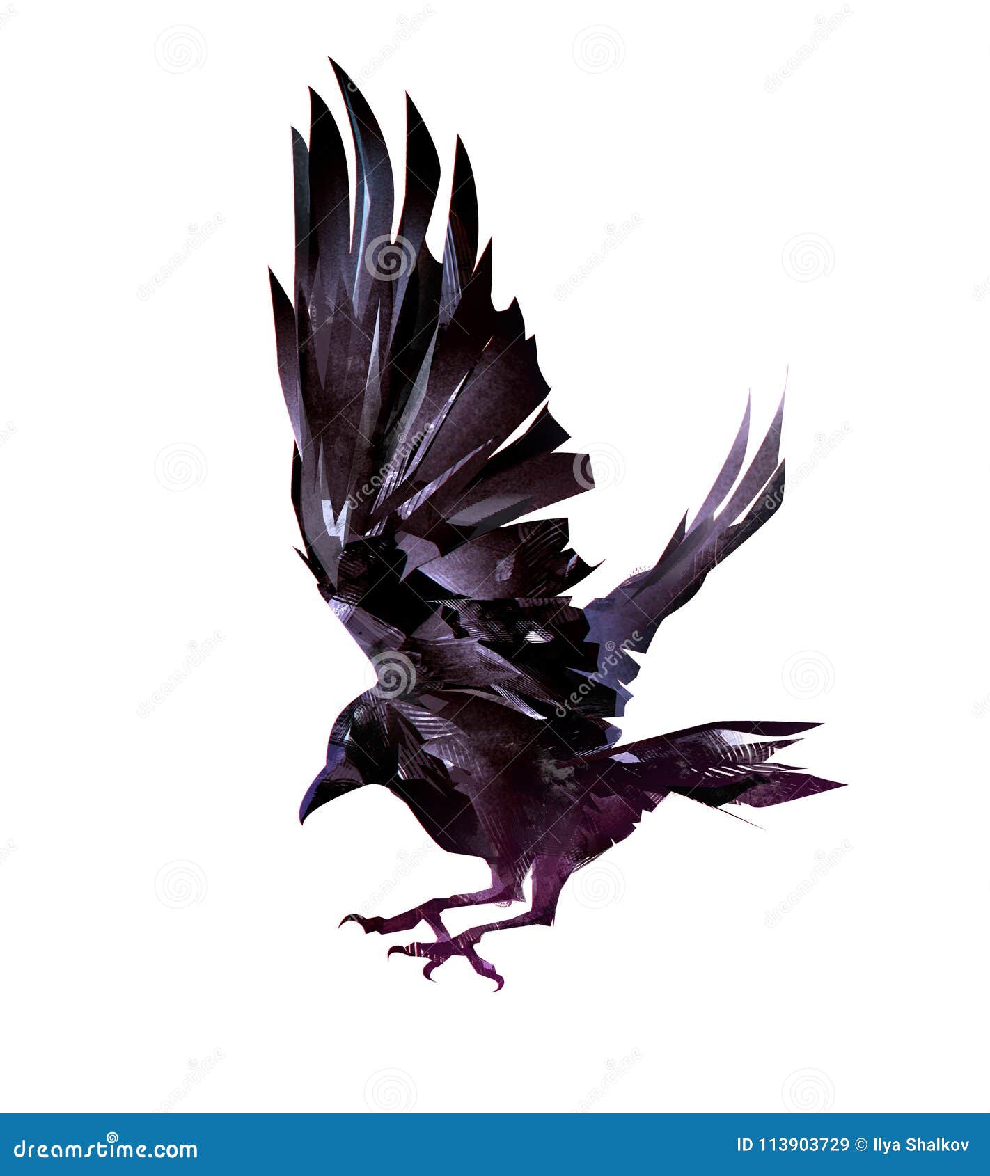 Isolated Realistic Sketch of a Flying Bird of Crows Stock Illustration ...