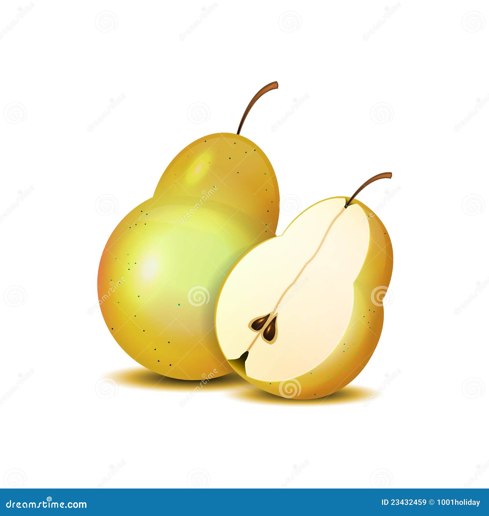 Isolated Realistic Sliced Pears for Your Design Stock Vector ...