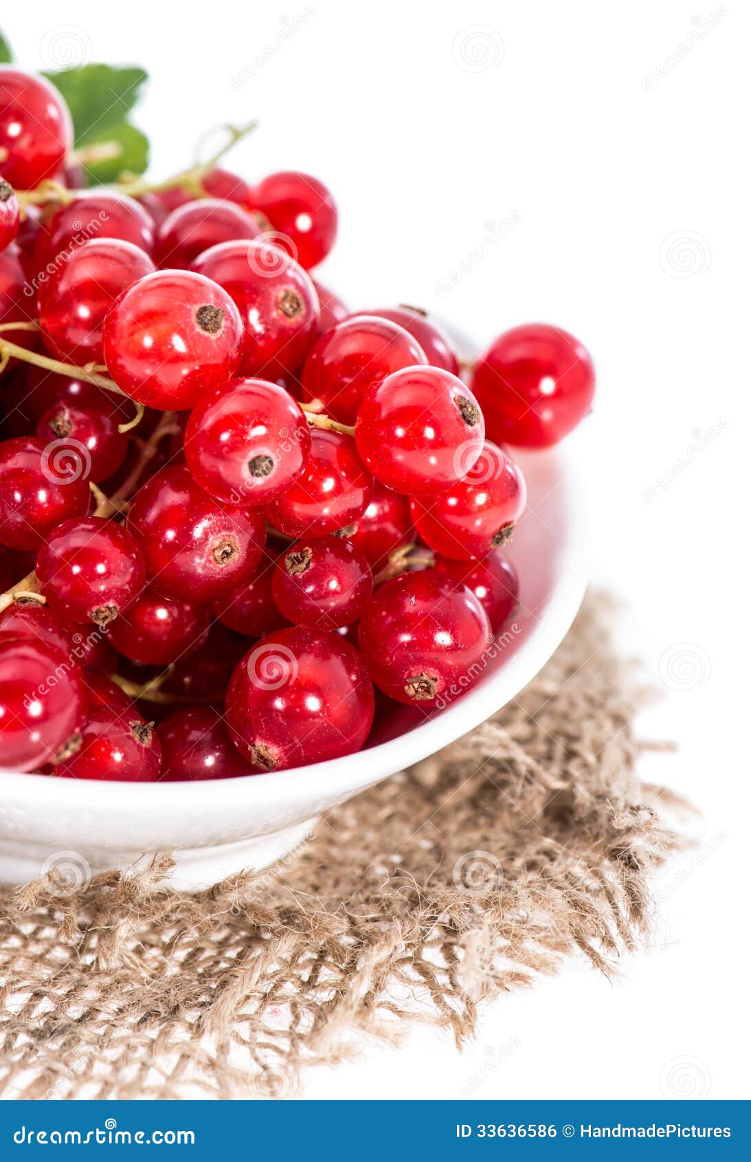 Isolated Red Currants stock photo. Image of fresh, closeup - 33636586
