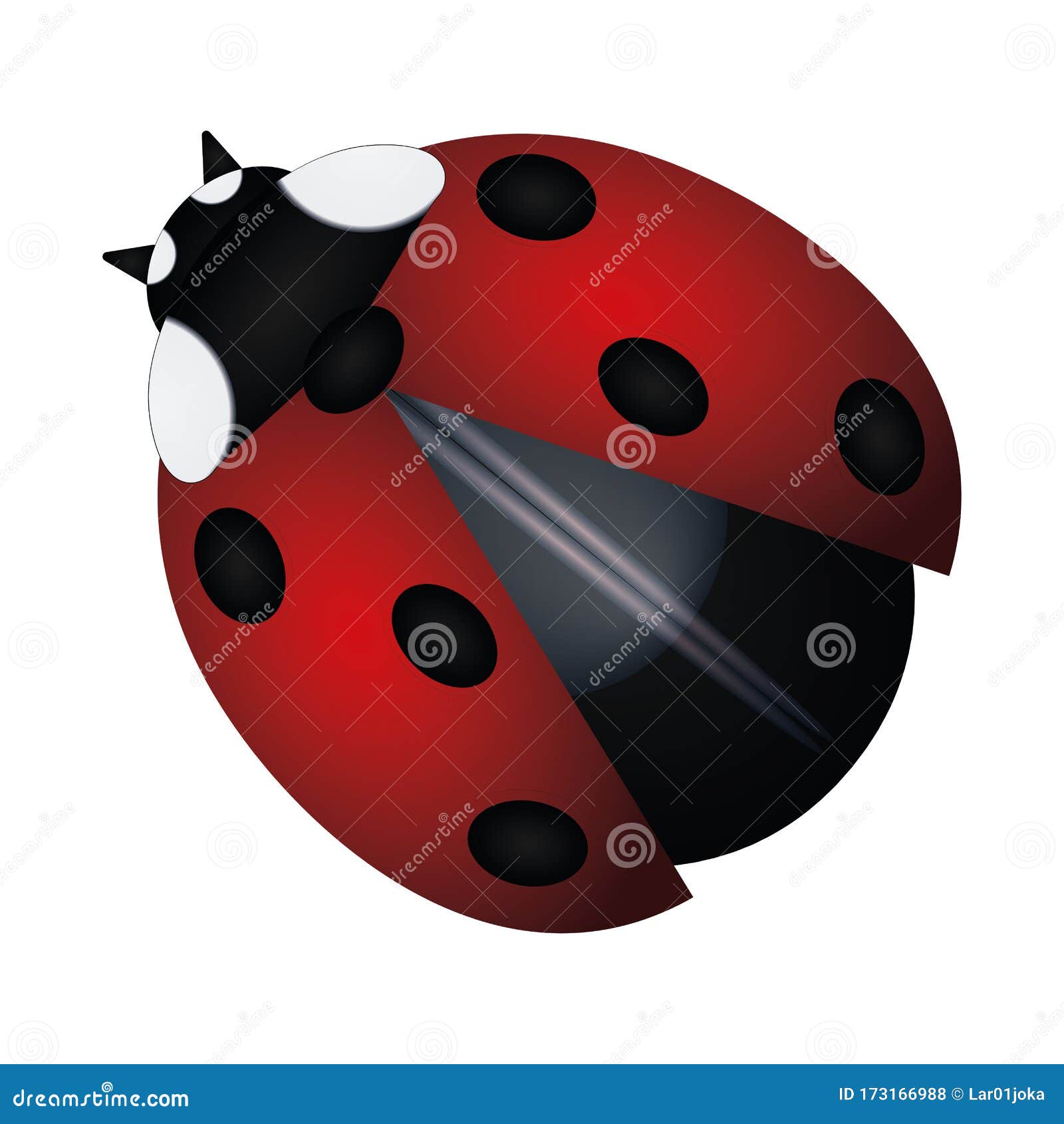Isolated red ladybug image stock vector. Illustration of white - 173166988