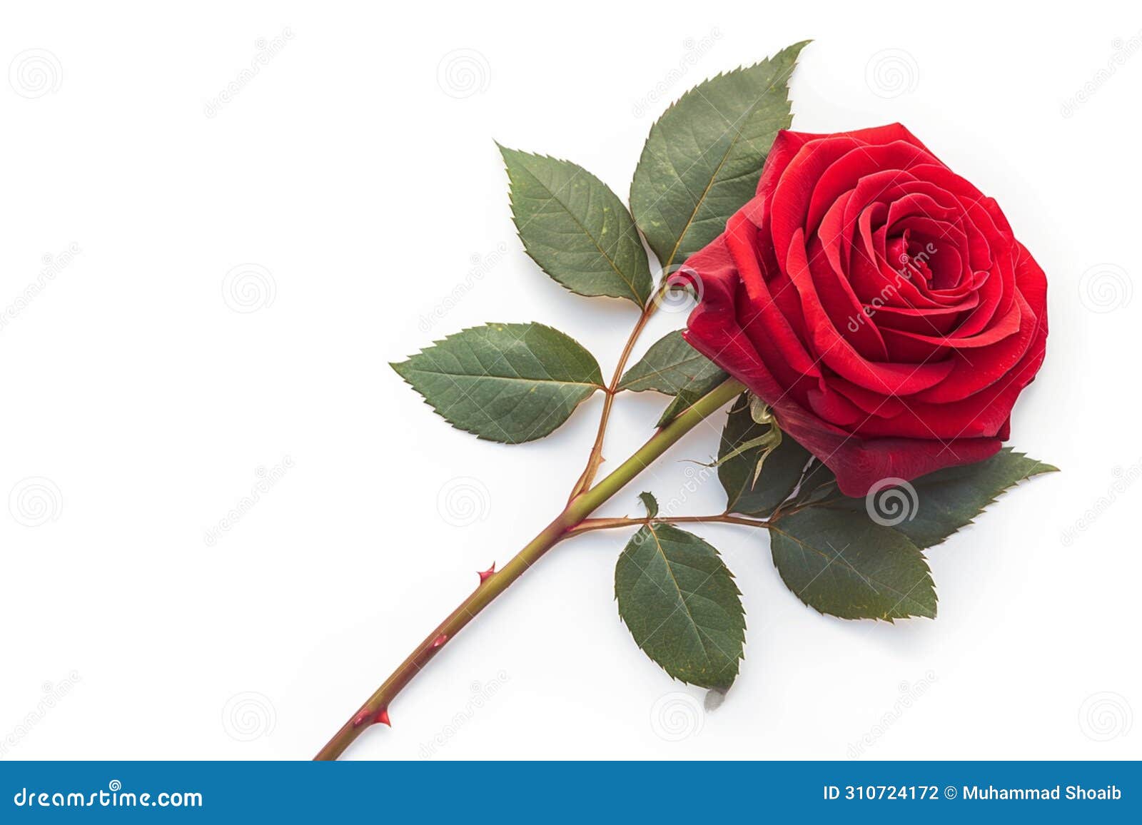 Epitome Cartoons, Illustrations & Vector Stock Images - 5596 Pictures ...