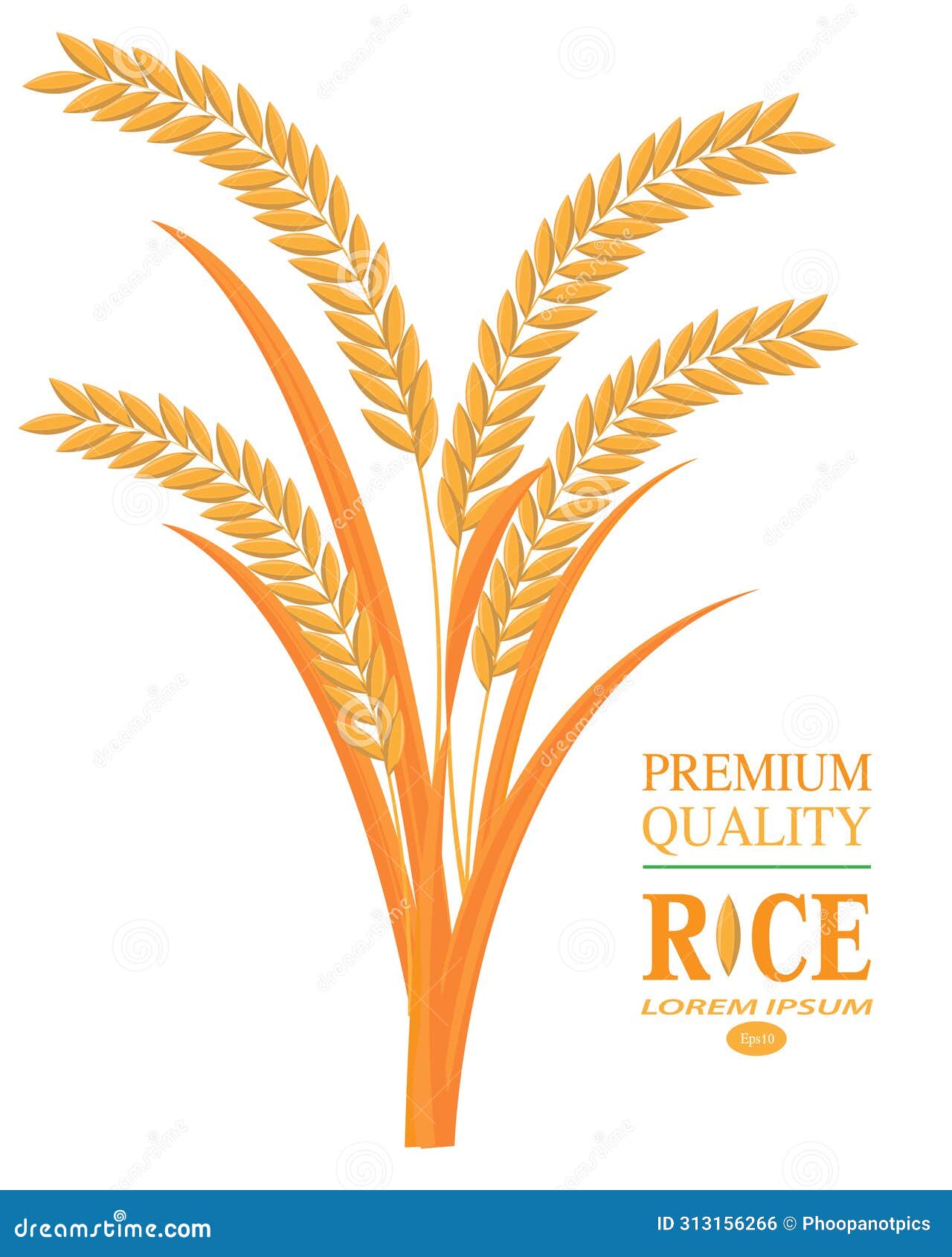 Isolated Rice Plant on White Background,vector Design Stock Vector ...