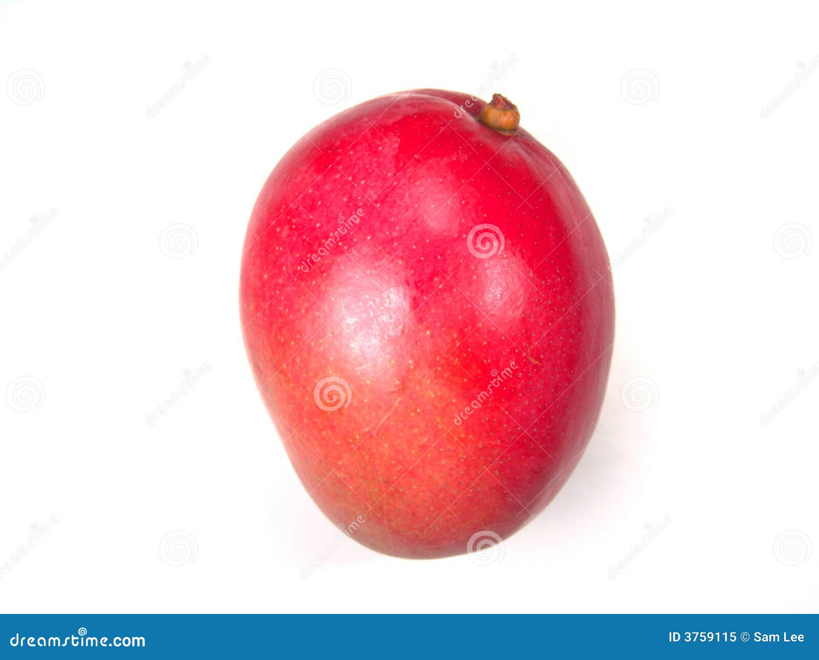 Isolated Ripe Juicy Mango stock image. Image of clean - 3759115