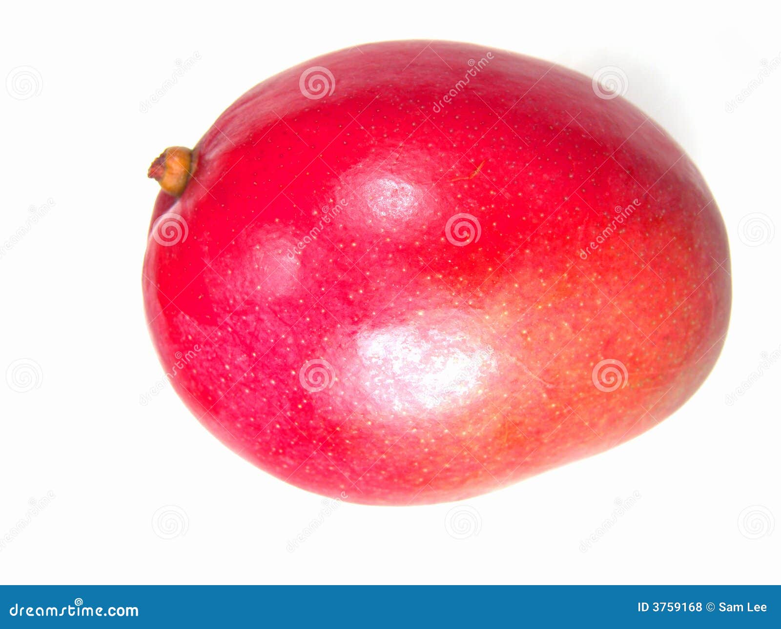 Isolated Ripe Juicy Mango stock photo. Image of dieting - 3759168