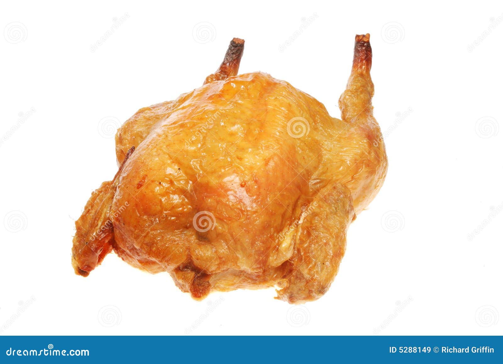 Isolated roast chicken stock image. Image of poultry, meat - 5288149