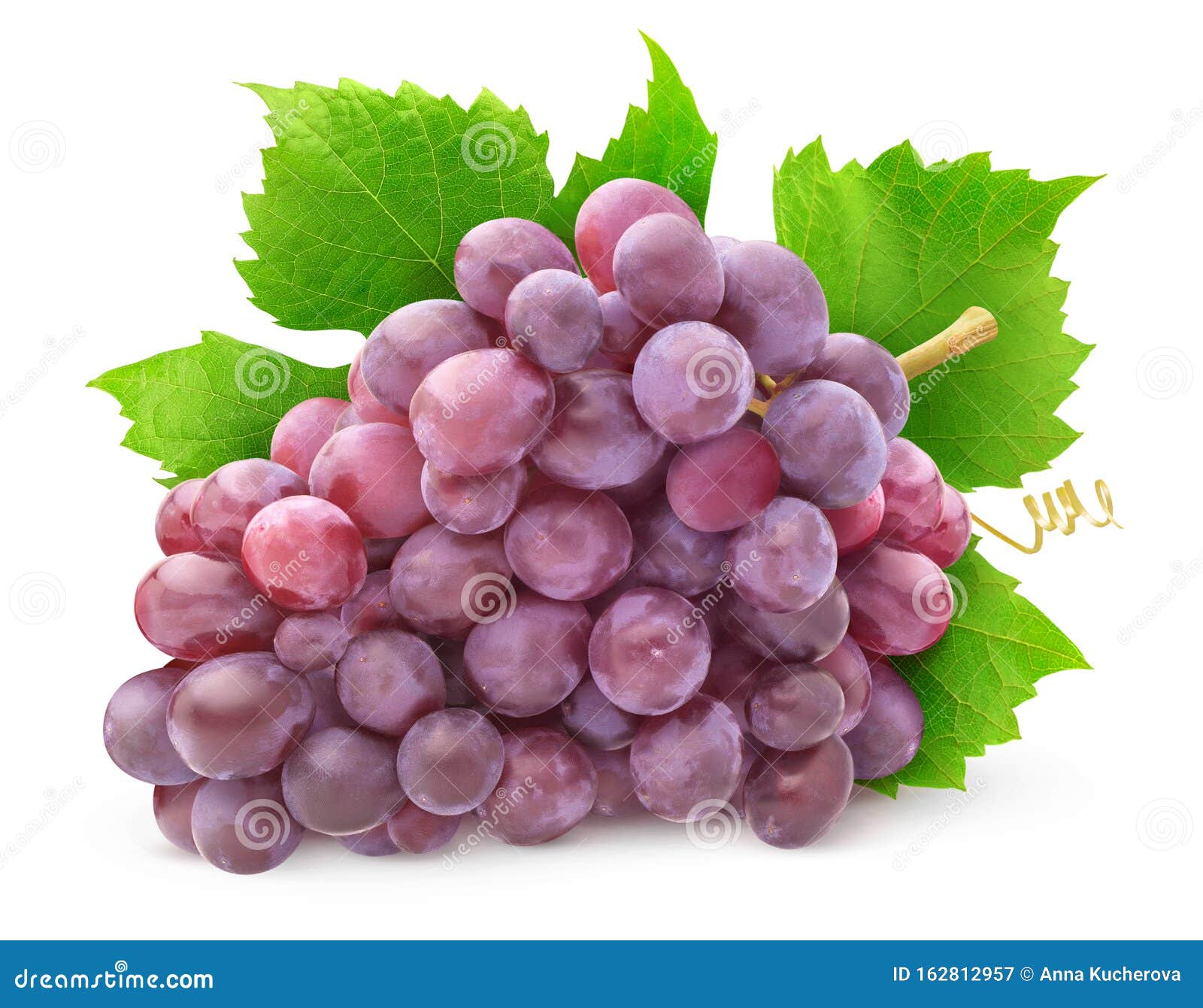 Royalty Free Images, Cartoons, Illustrations And Photos Designed By ...