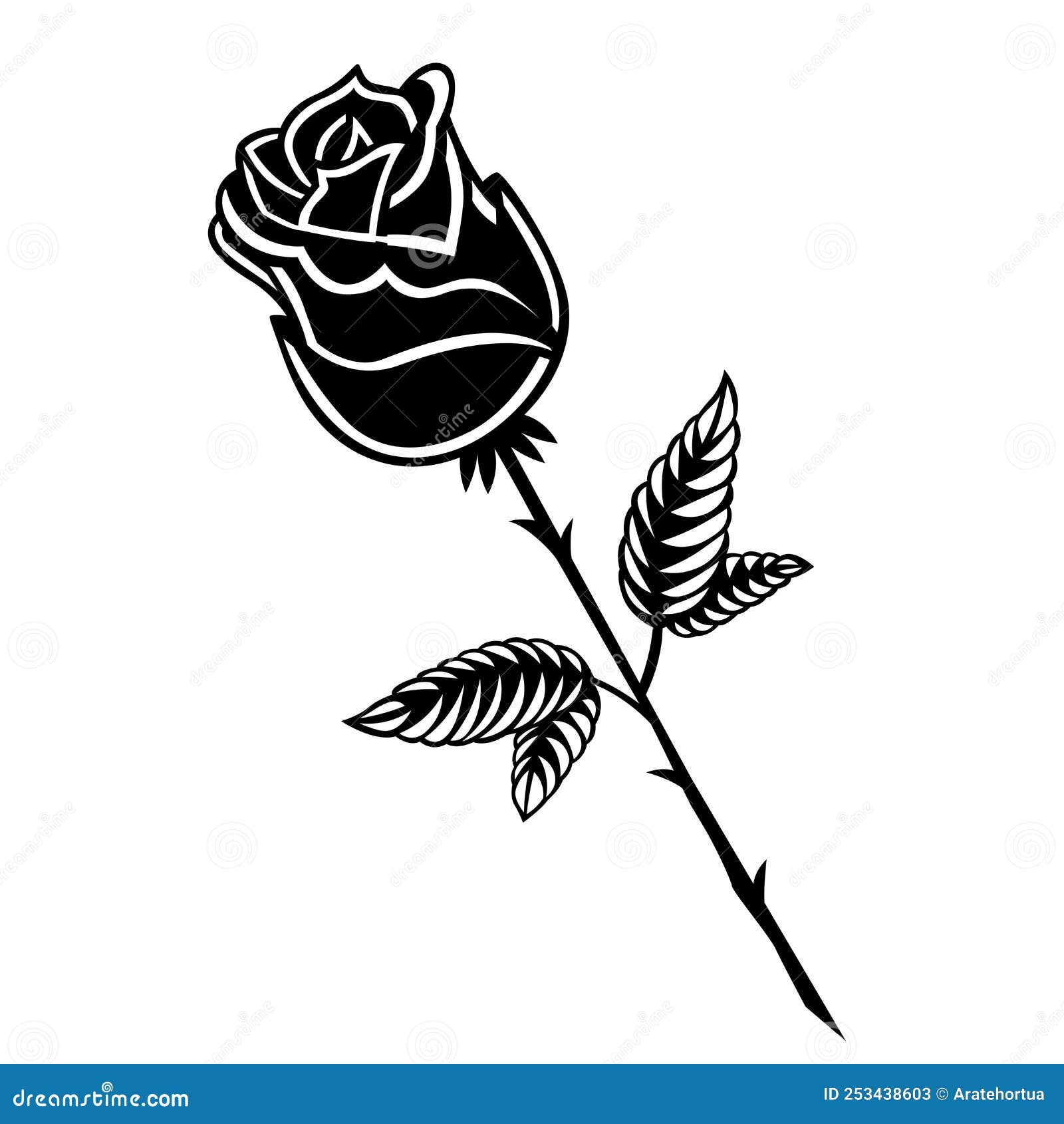 Isolated Rose Medium Small Phases Vector Illustration Stock Vector ...