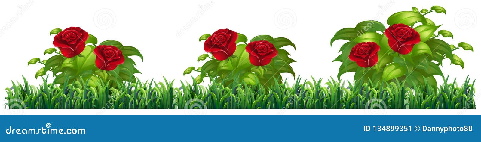Isolated Rose Plant for Decore Stock Vector - Illustration of clip ...